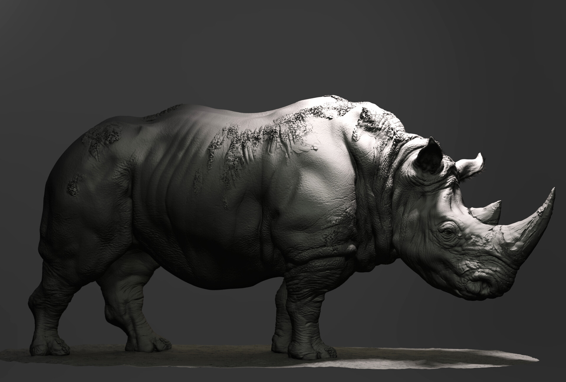ArtStation - Sketching Rhino