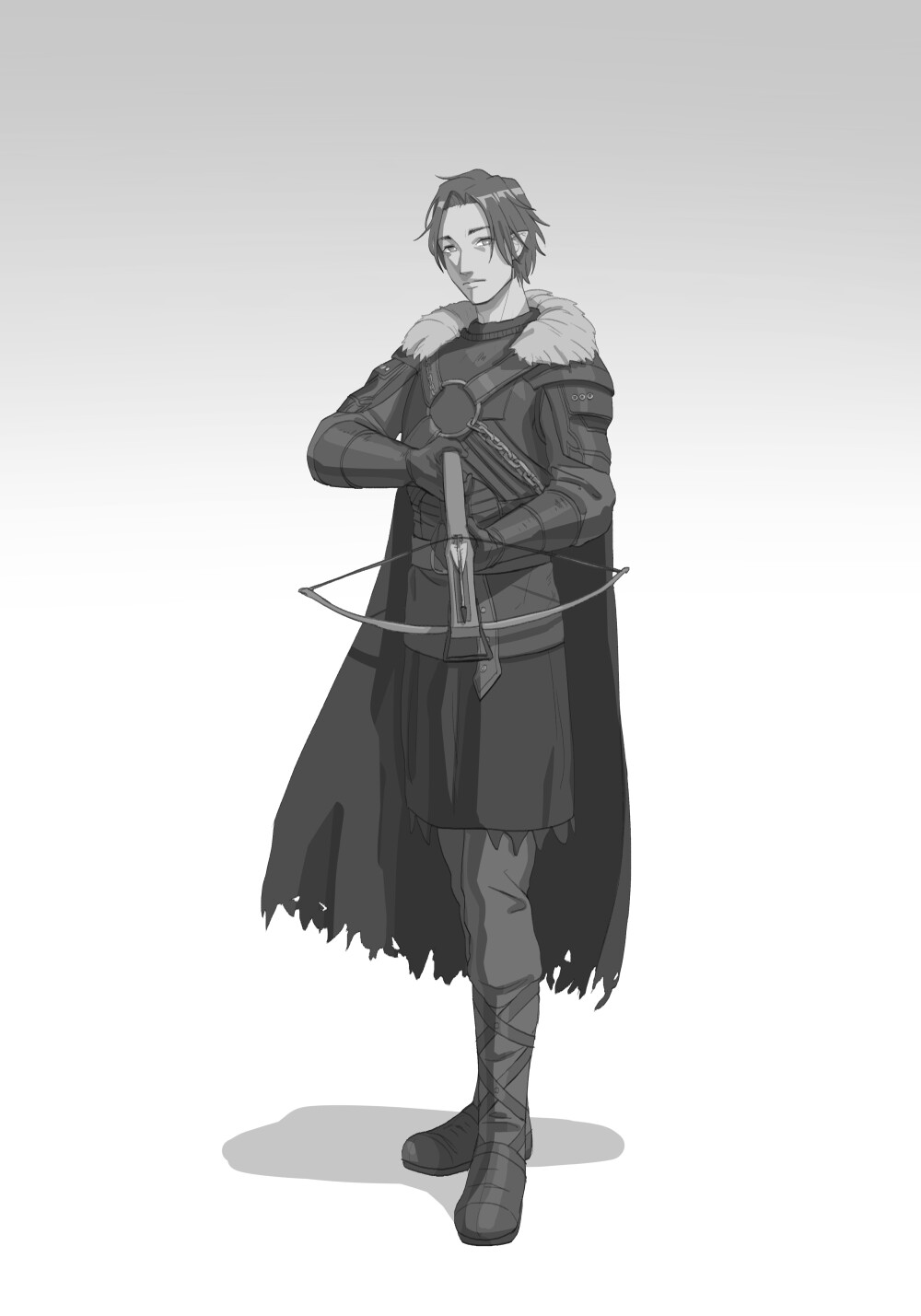 WHO . - Commissions 13