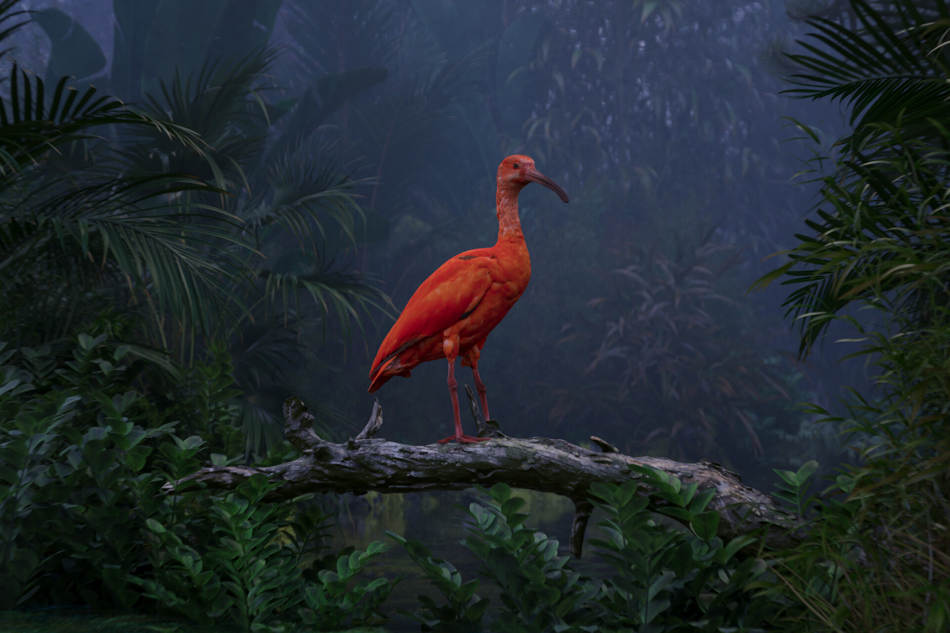 Rory Hyland - 3D Generalist - Birds & Botany - 3D photorealism (with ...