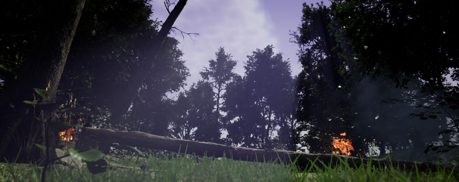 ArtStation - forest fire