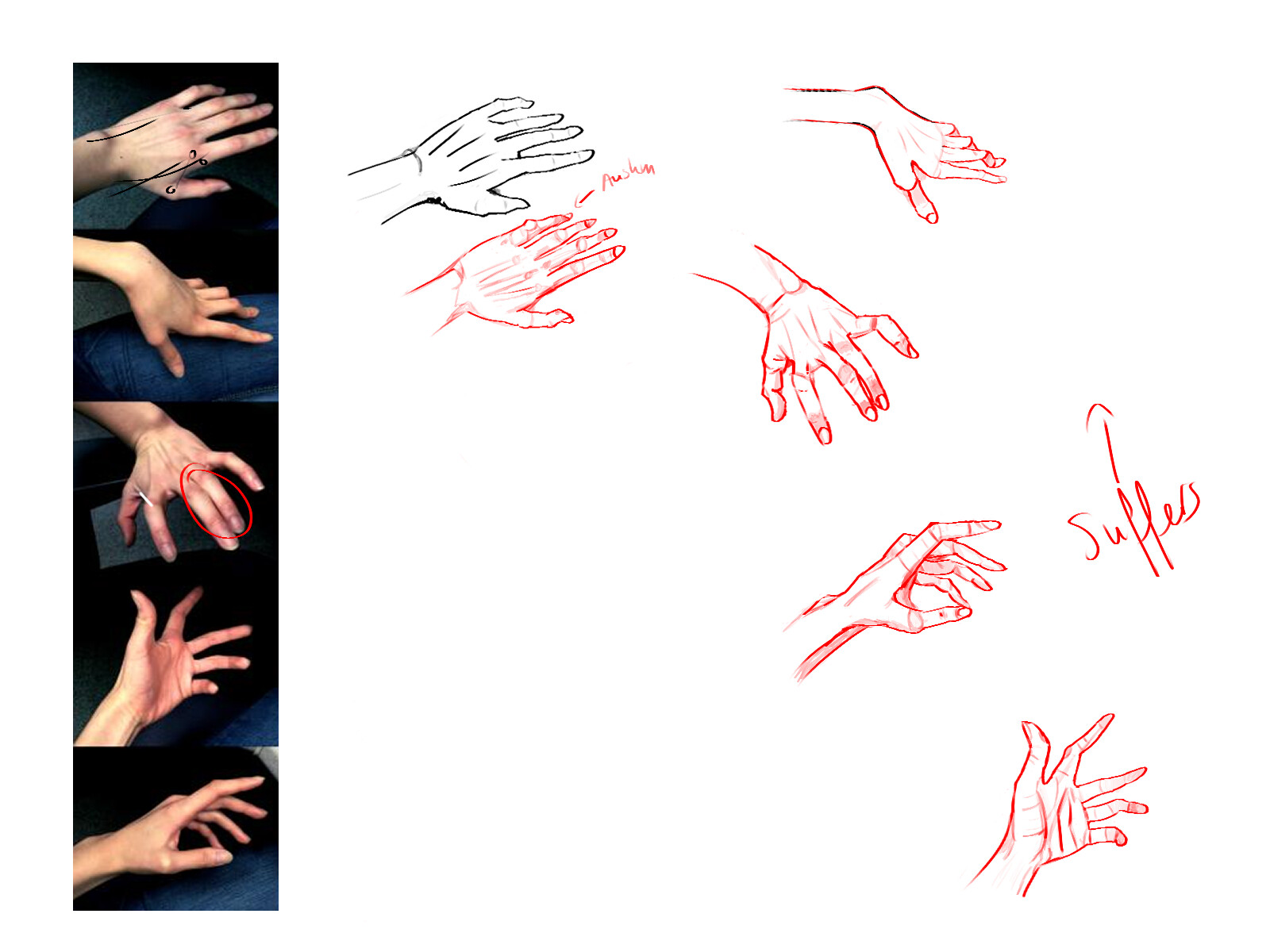 ArtStation - hand practice with reference