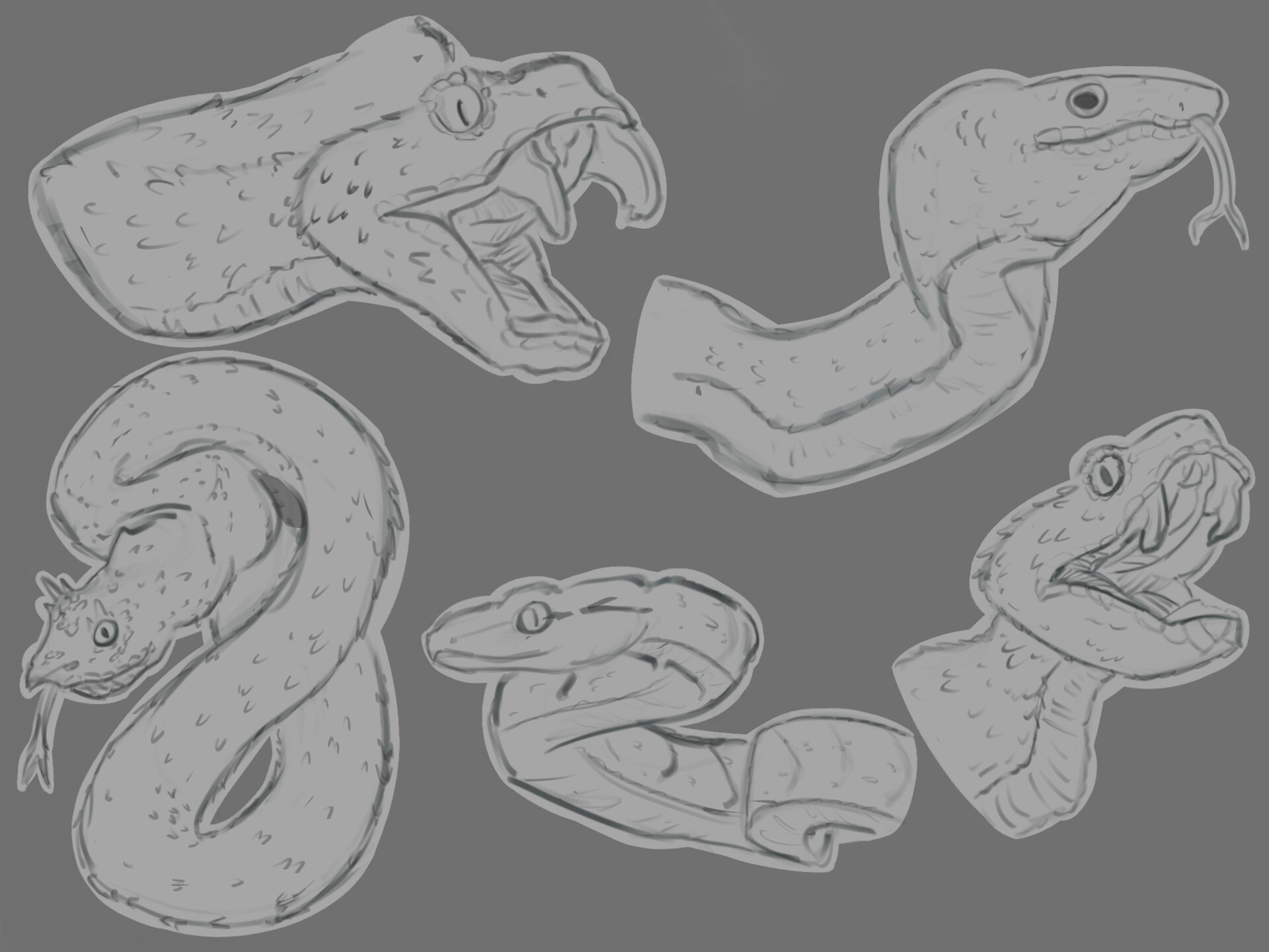 ArtStation - Snake Studies - 01