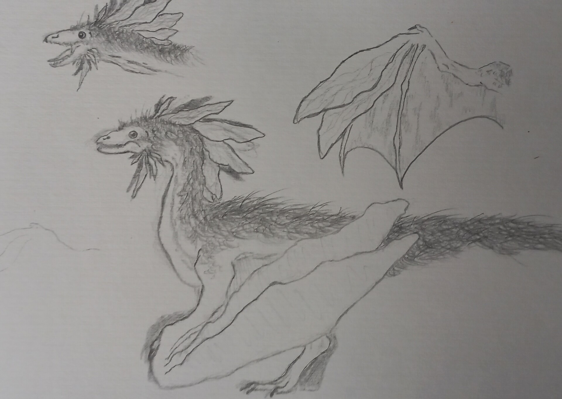 ArtStation - Fae Dragon