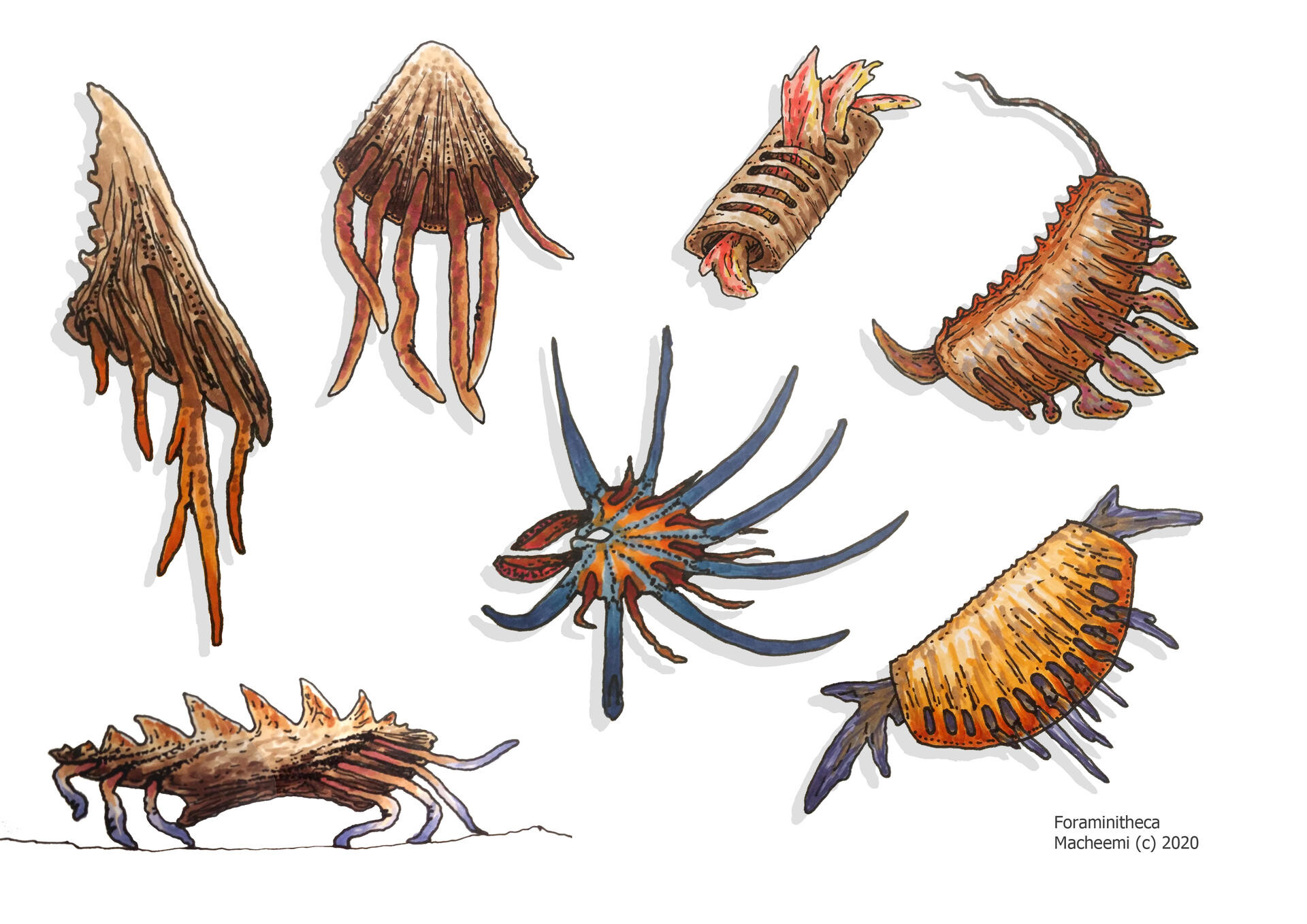 ArtStation - Extraterrestrial mollusk diversity