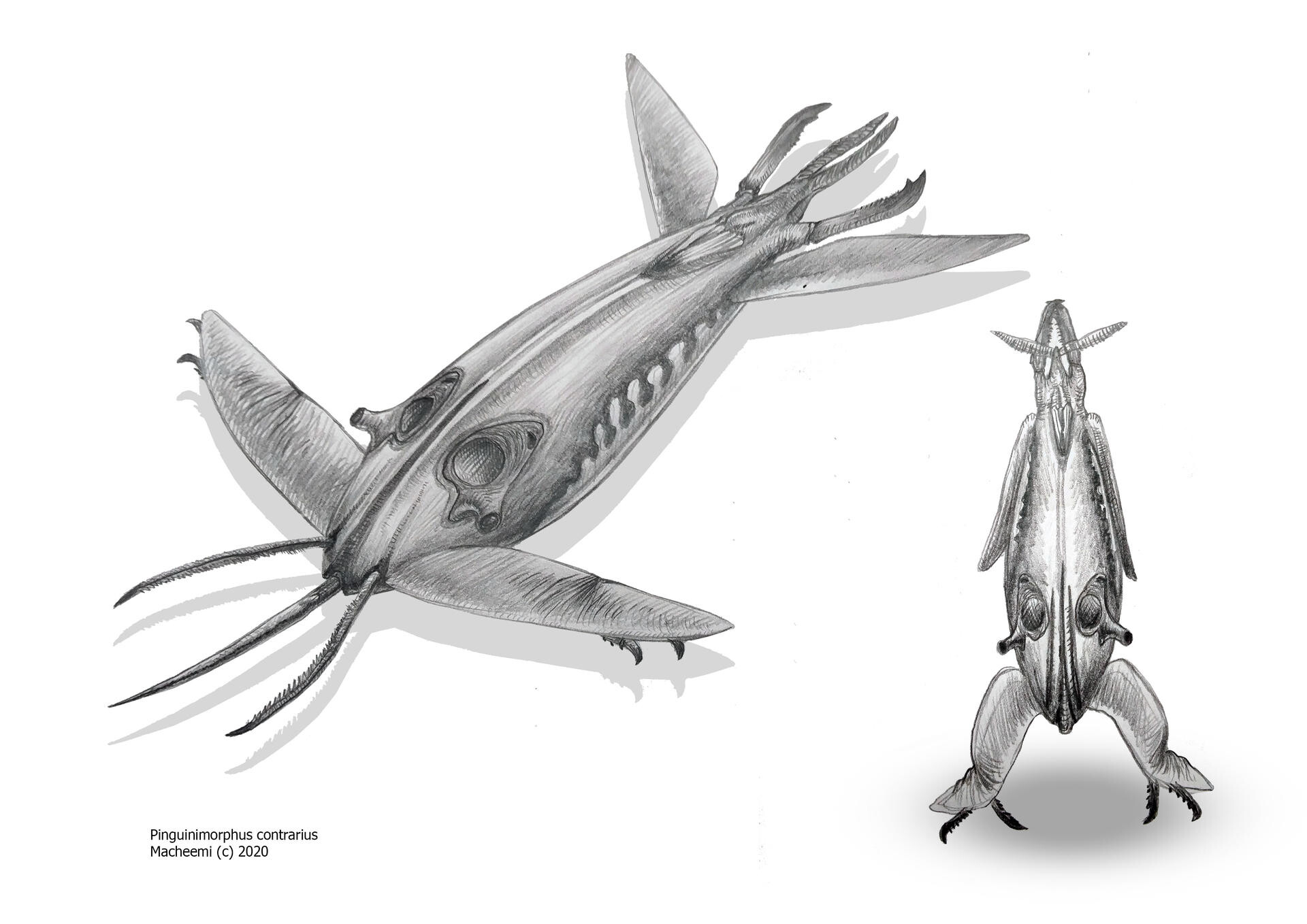 reaper leviathan coloring pages