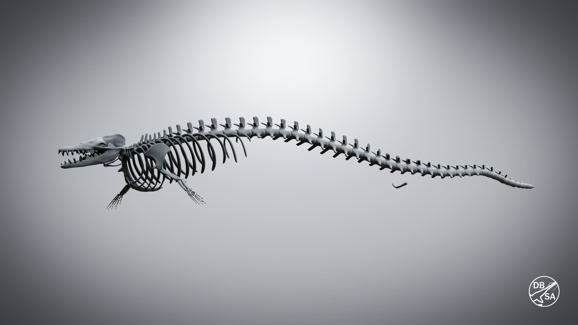 ArtStation - Basilosaurus Skeleton