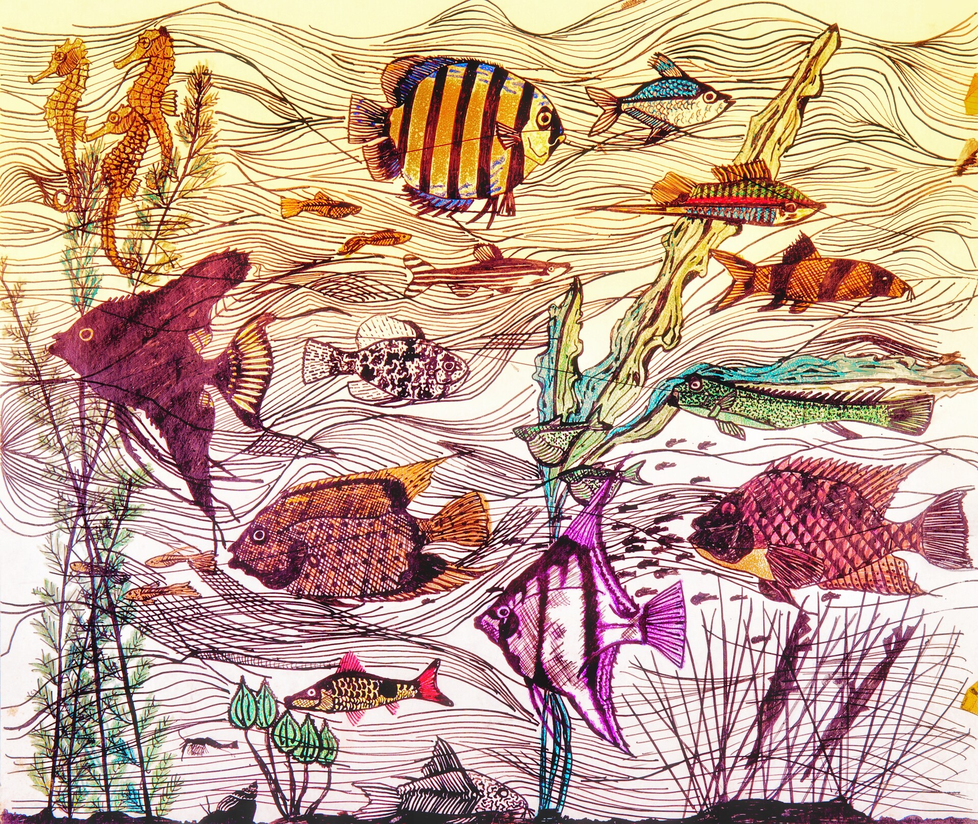 ArtStation - Sunlight shines through the tropical fish surf