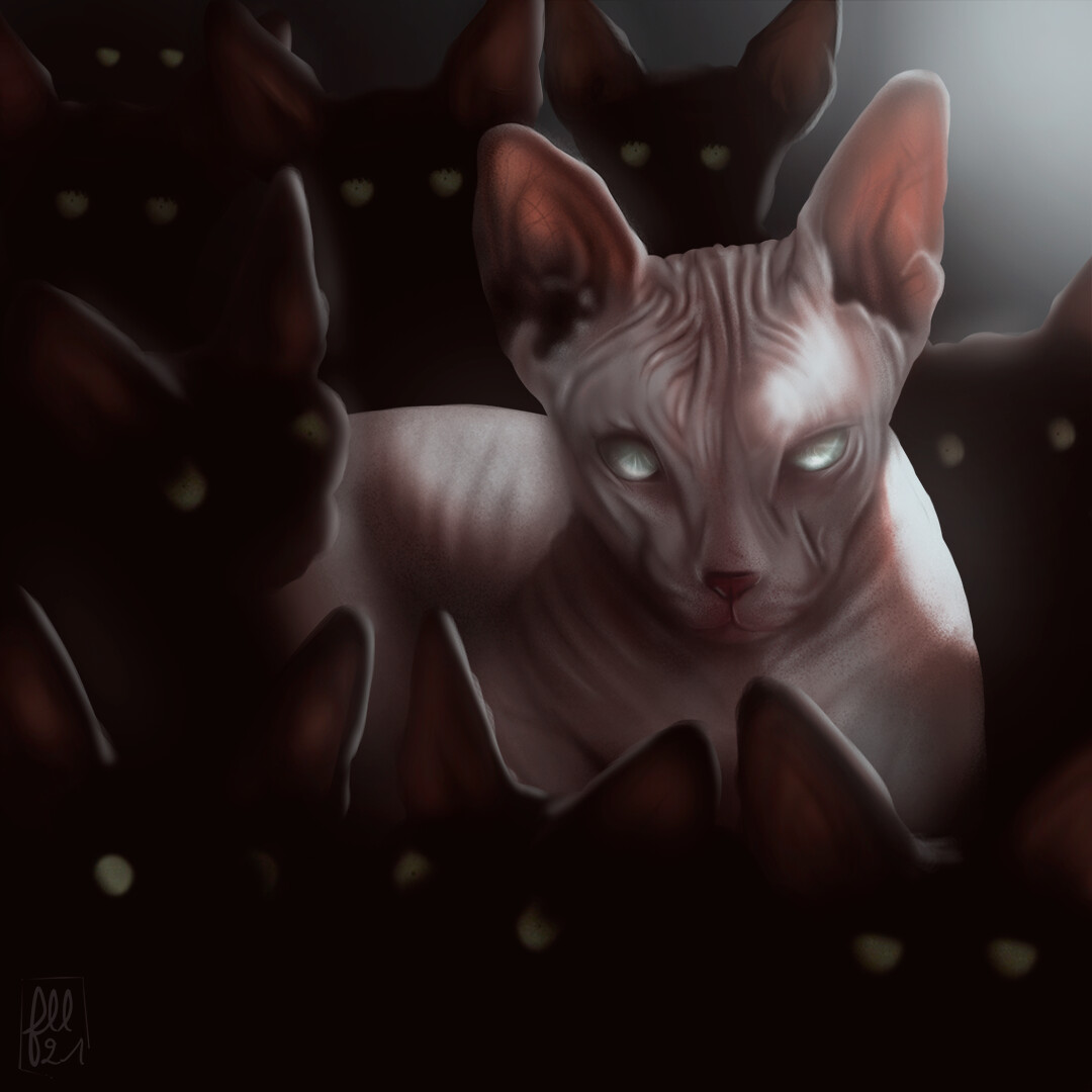 ArtStation - Cats