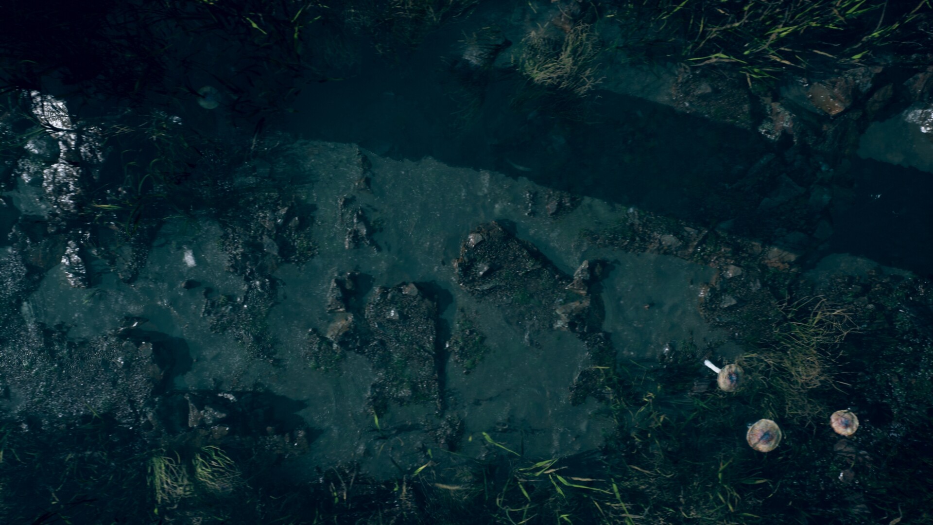 L. Torres - The Fallow Mire: Dragon Age in Unreal Engine 5