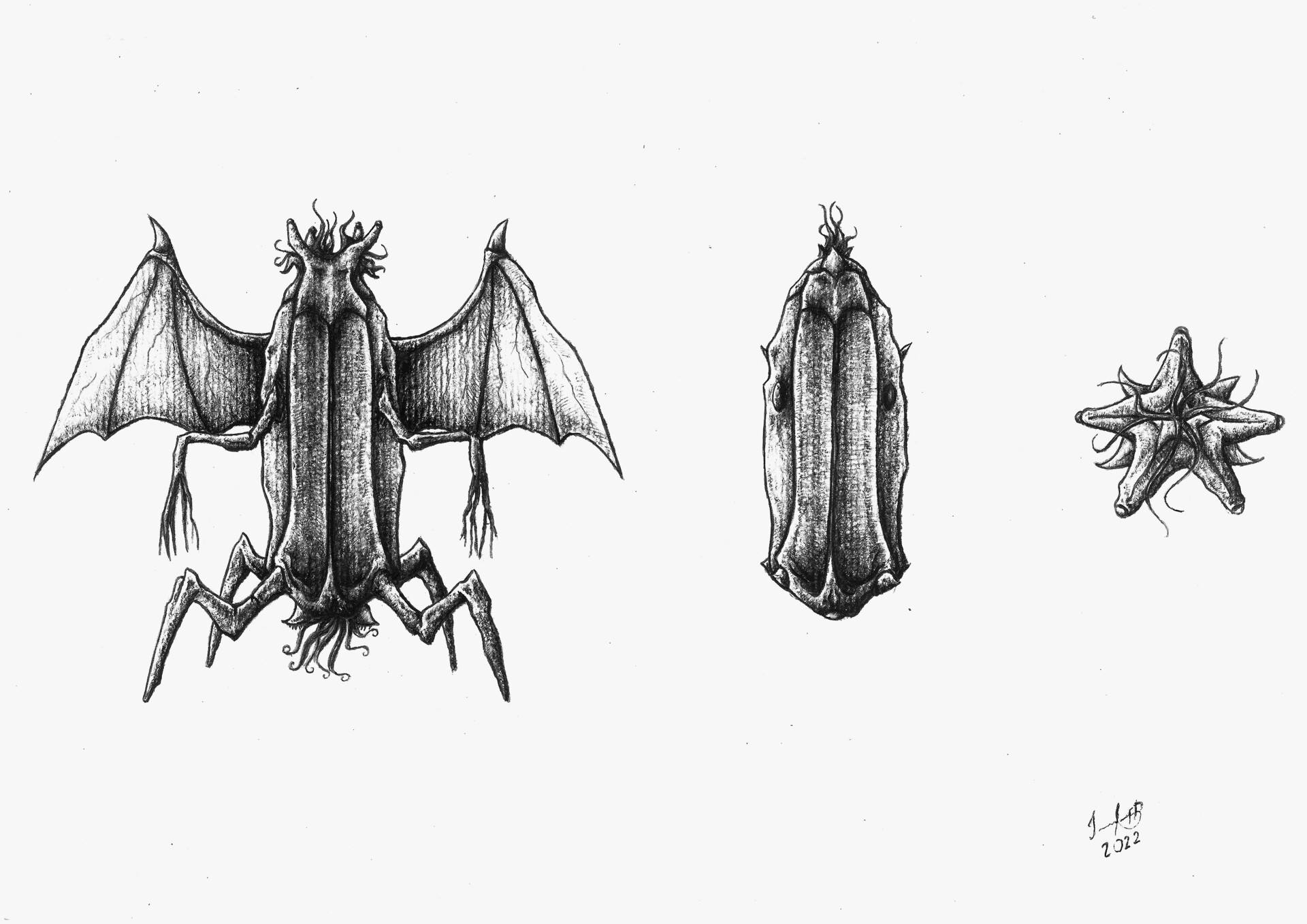 elder things description