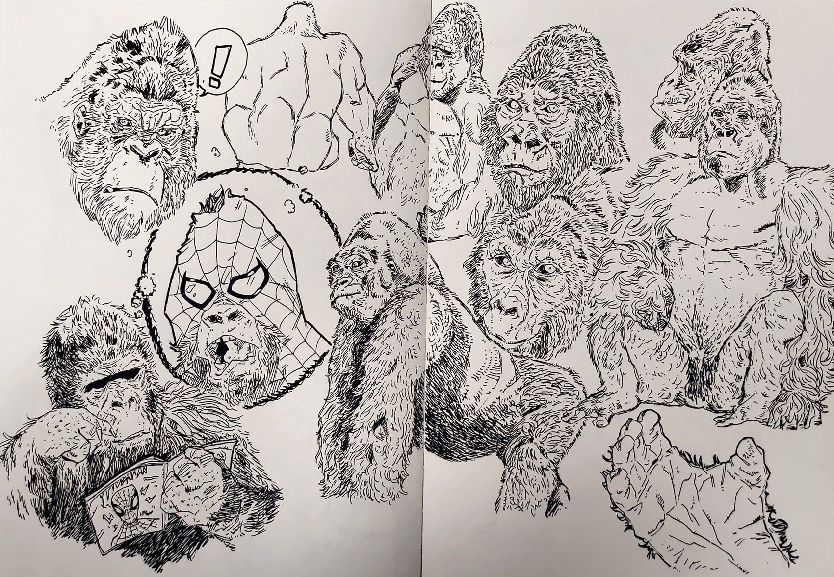 ArtStation - Traditional monkeys