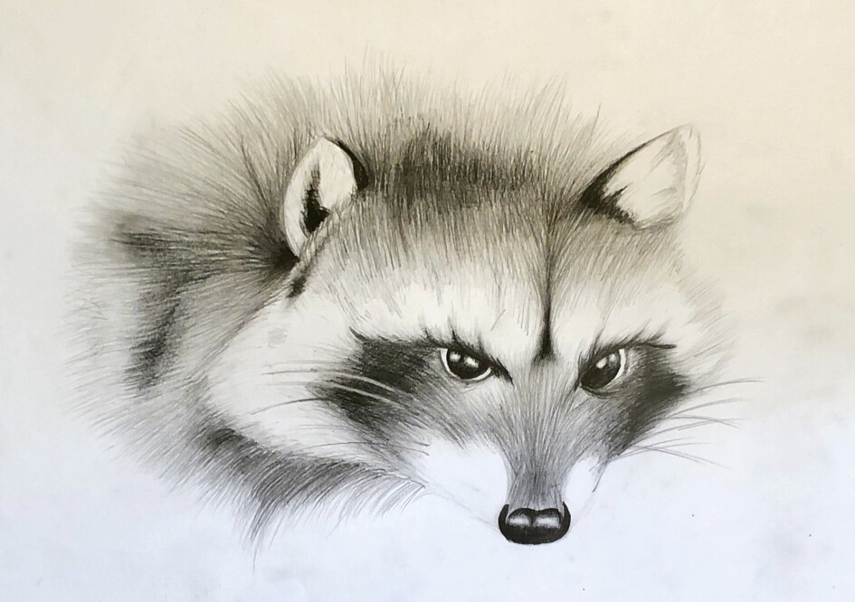 ArtStation - Pencil Animals