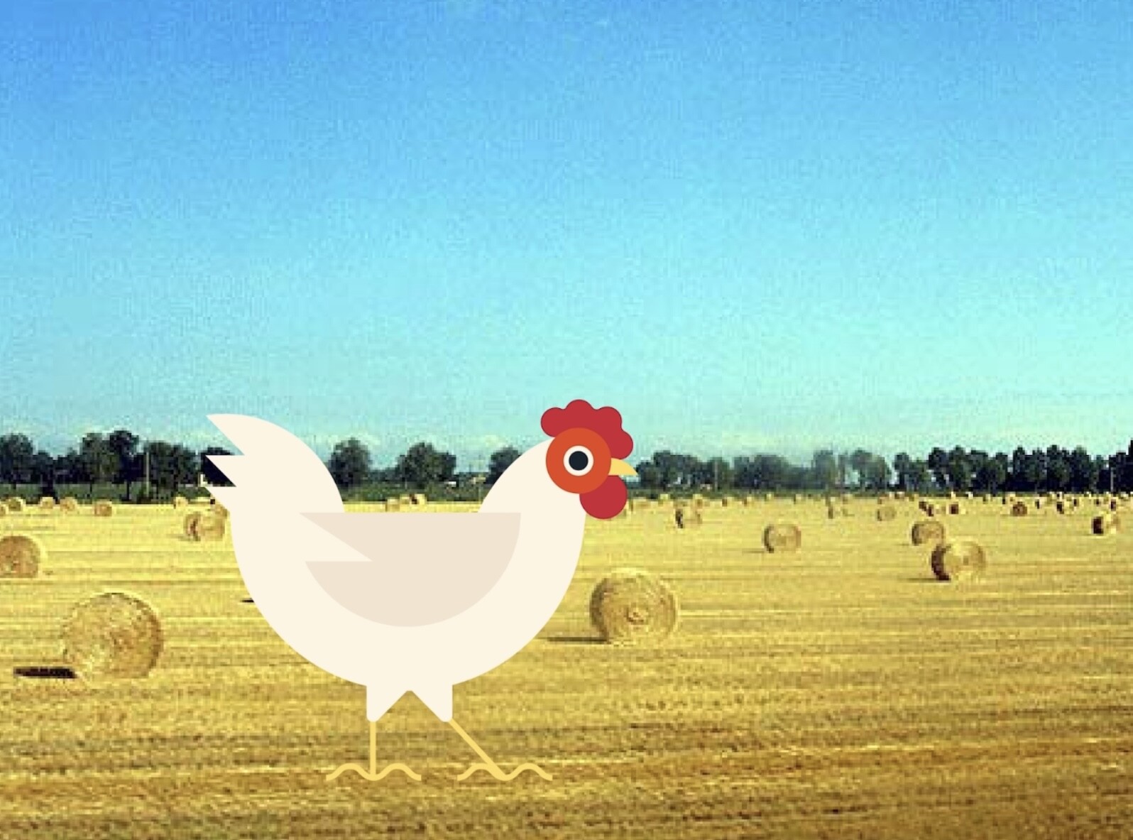 ArtStation - Chicken Moving In Hay Field Animation Video With Sound