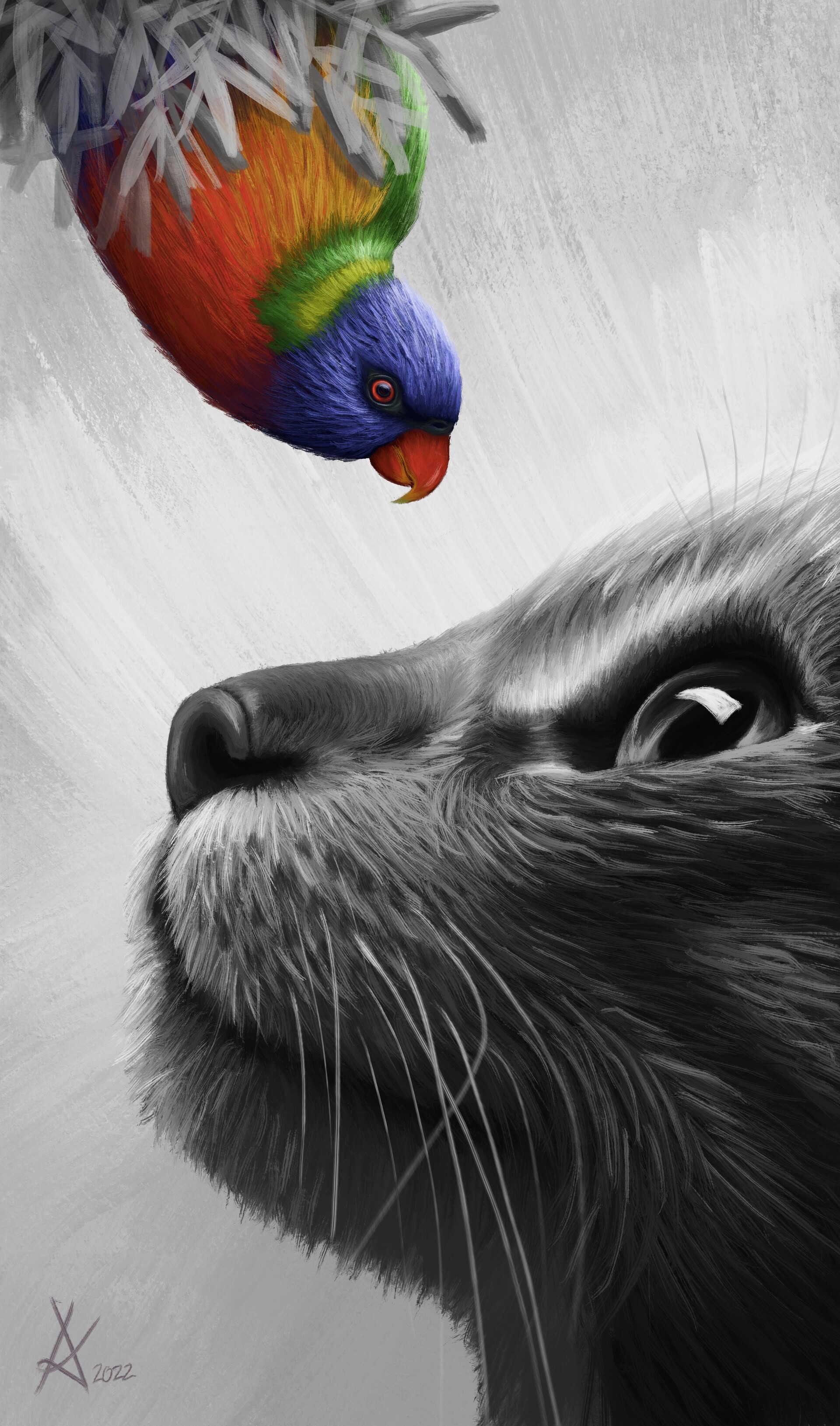 ArtStation - Bird & Cat