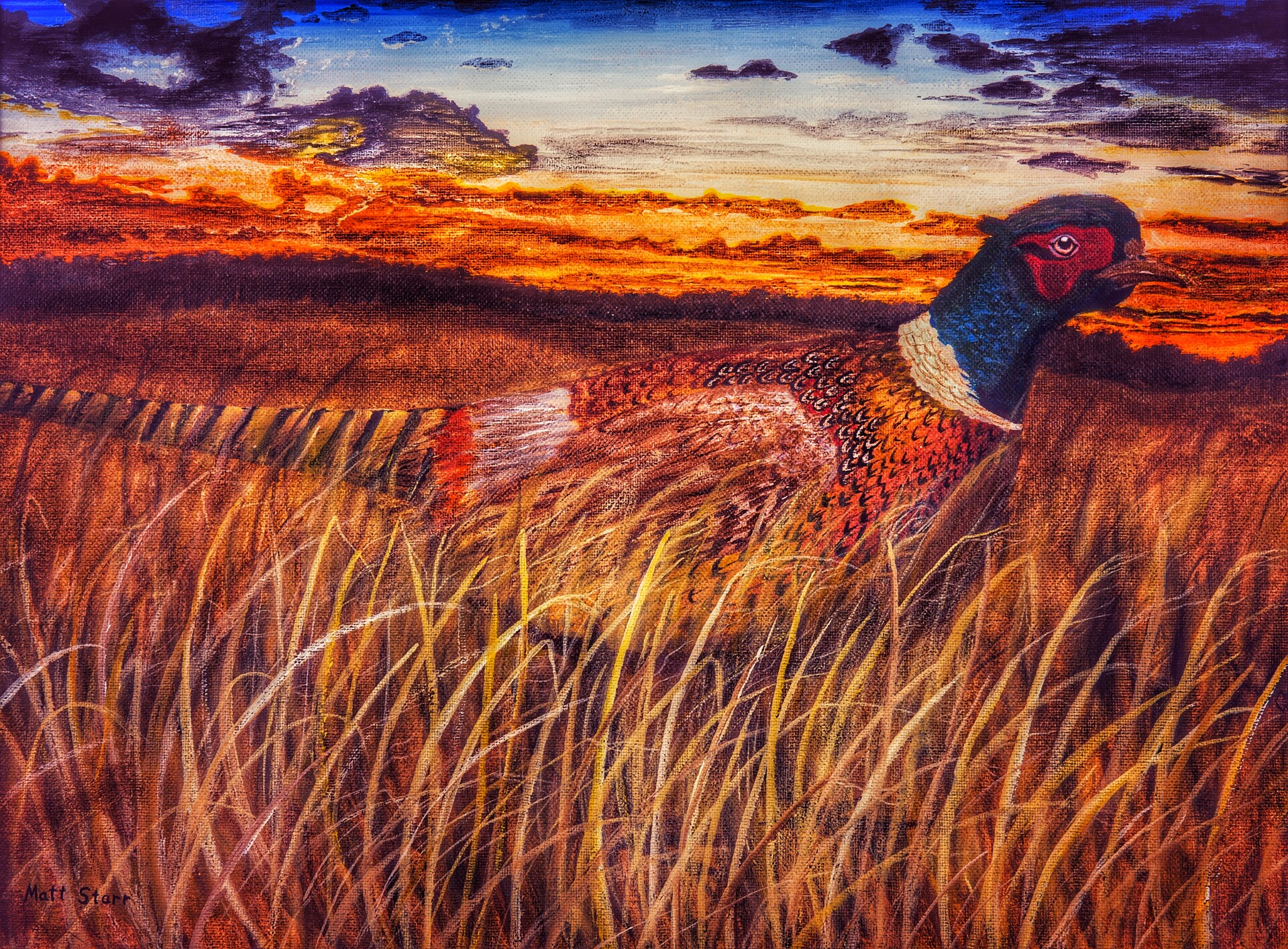 Pheasant Flying Sunset