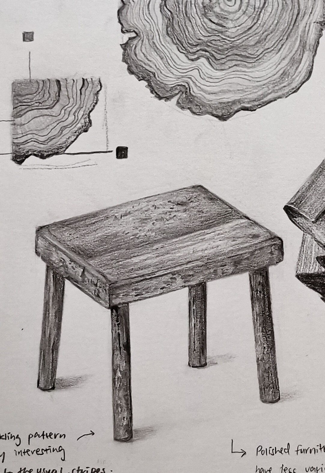 Ho Xin Yan - Texture studies and Perspective practice