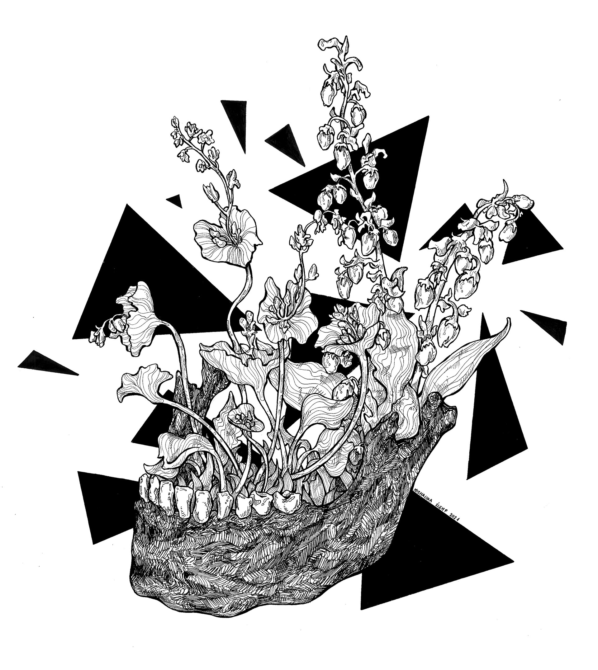 ArtStation - The Jaw