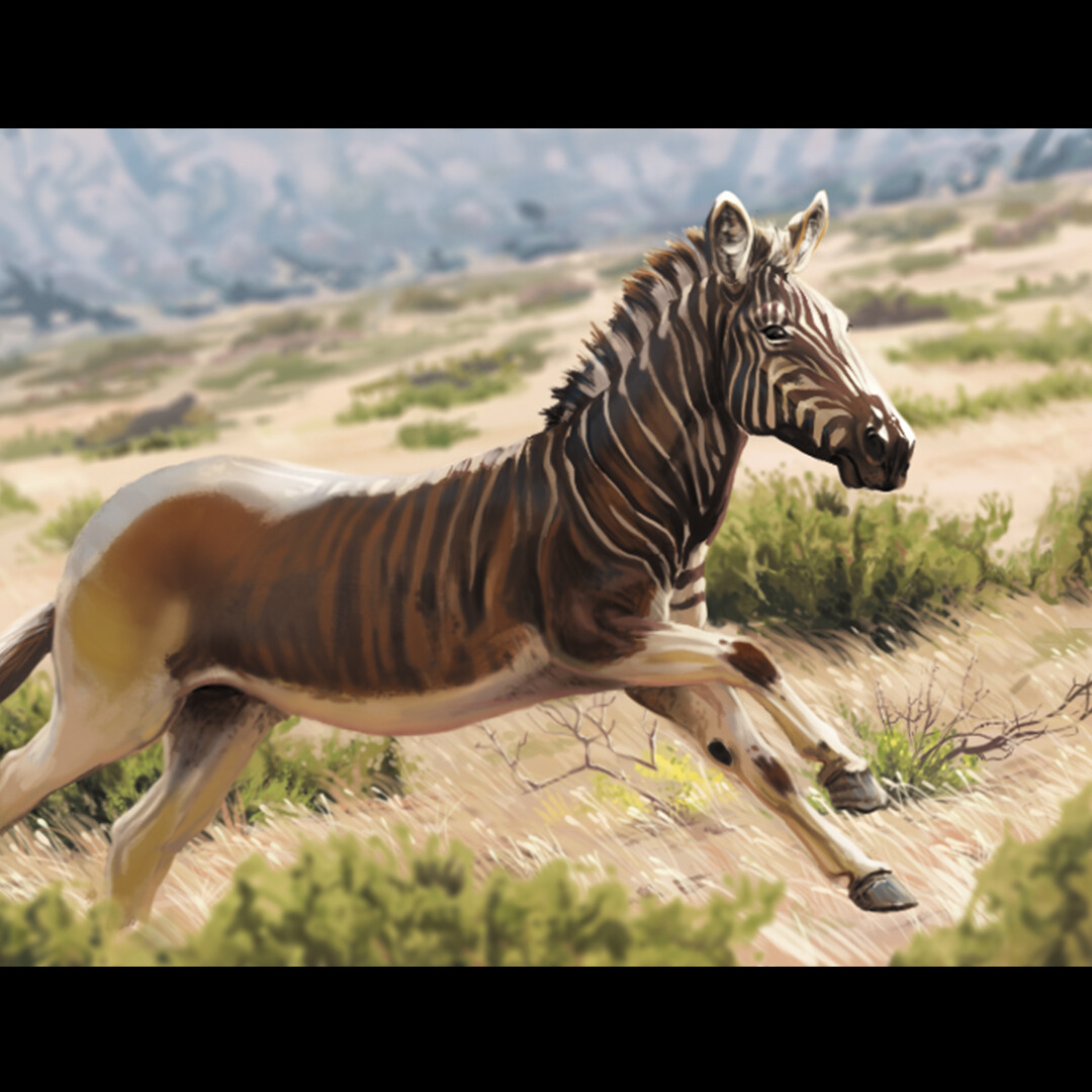 Thaïs_Illustration - Quagga