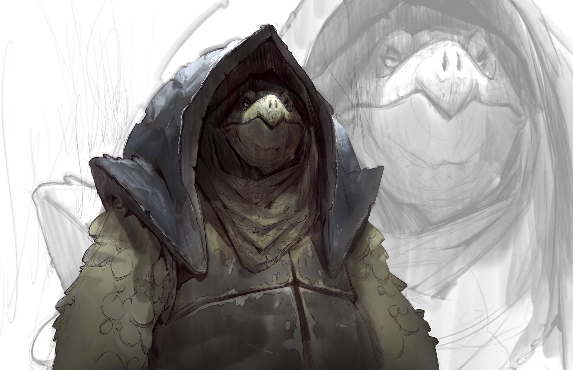 ArtStation - Tortle Sketch (D&D)