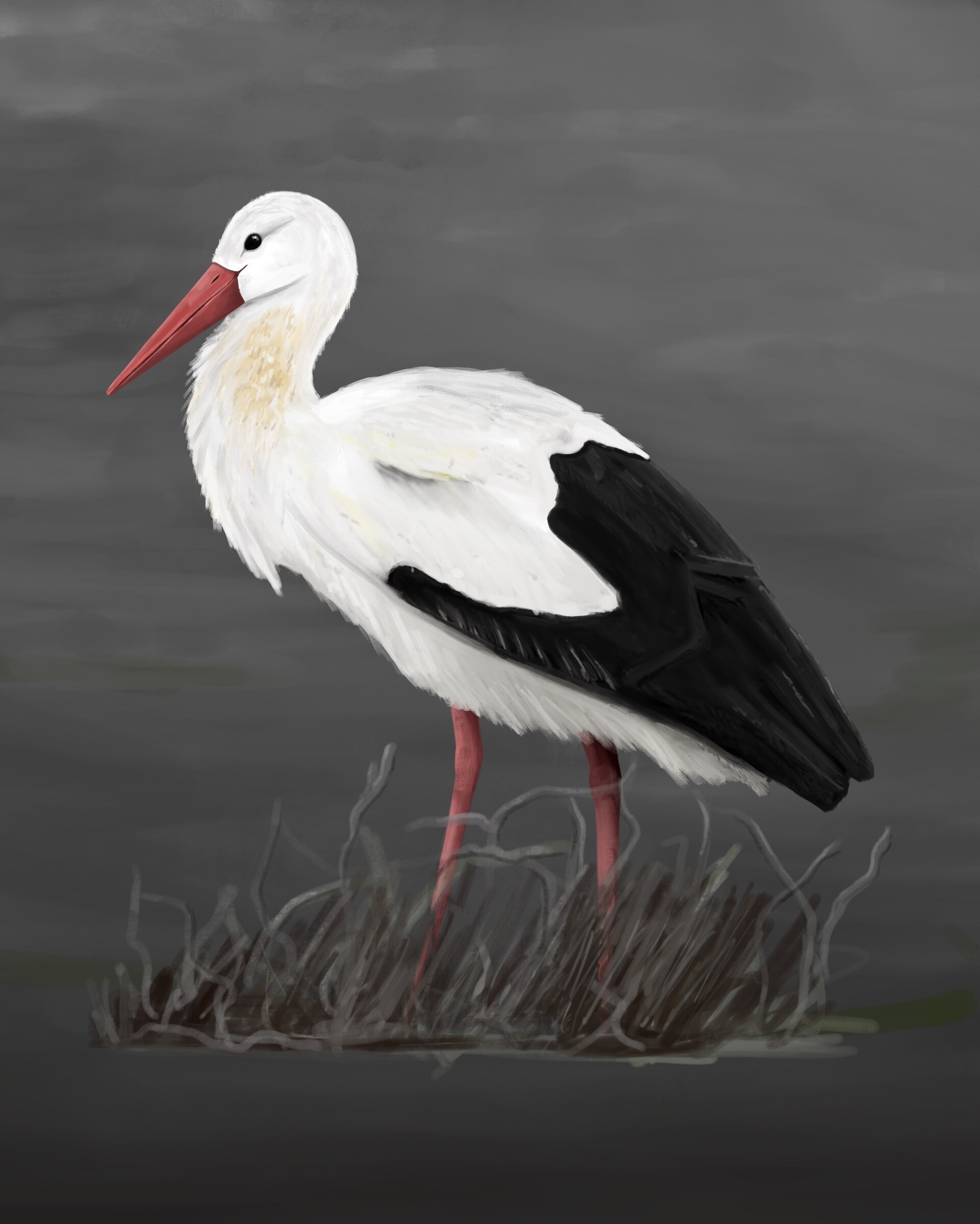 ArtStation - White Stork
