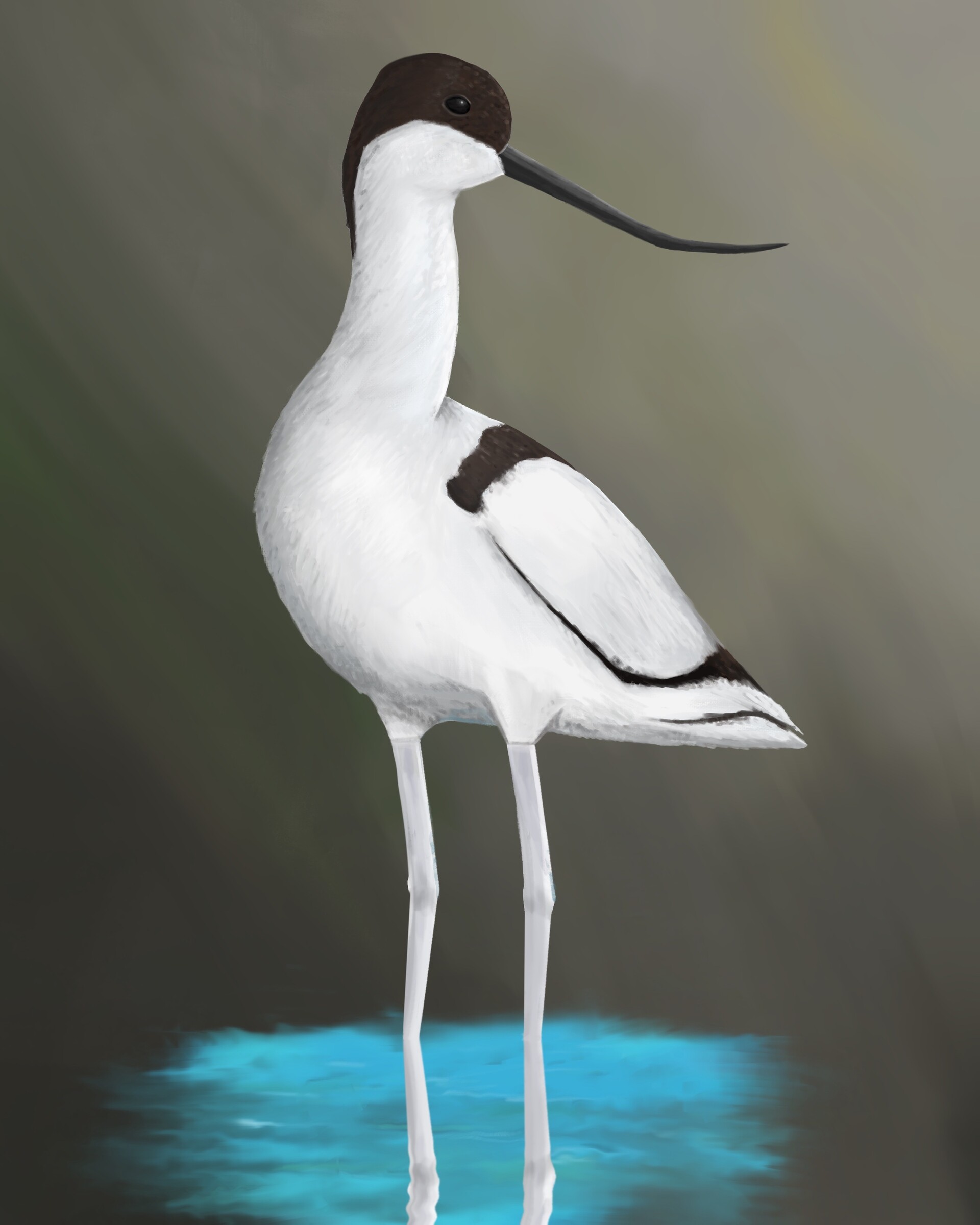 ArtStation - Avocet