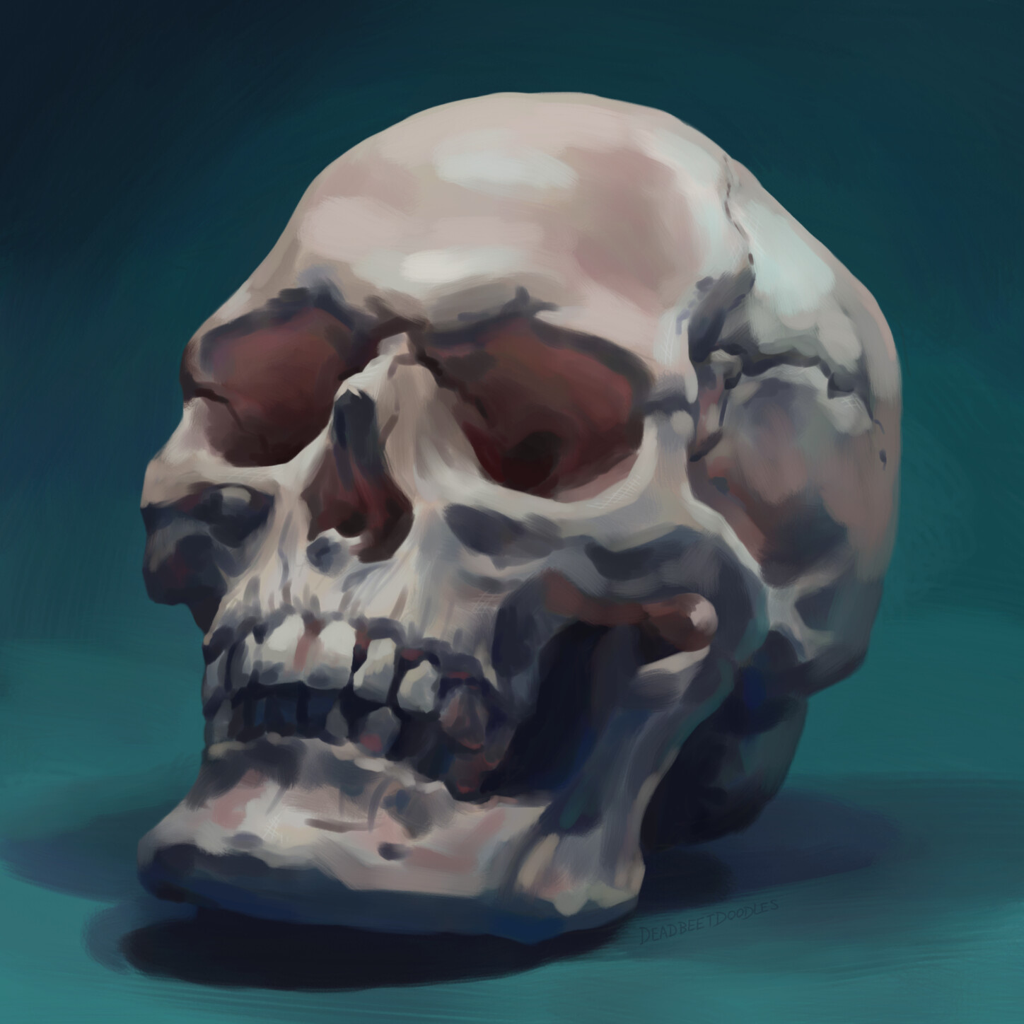 Dead Beet Doodles (Laurie Read) - Skull Study
