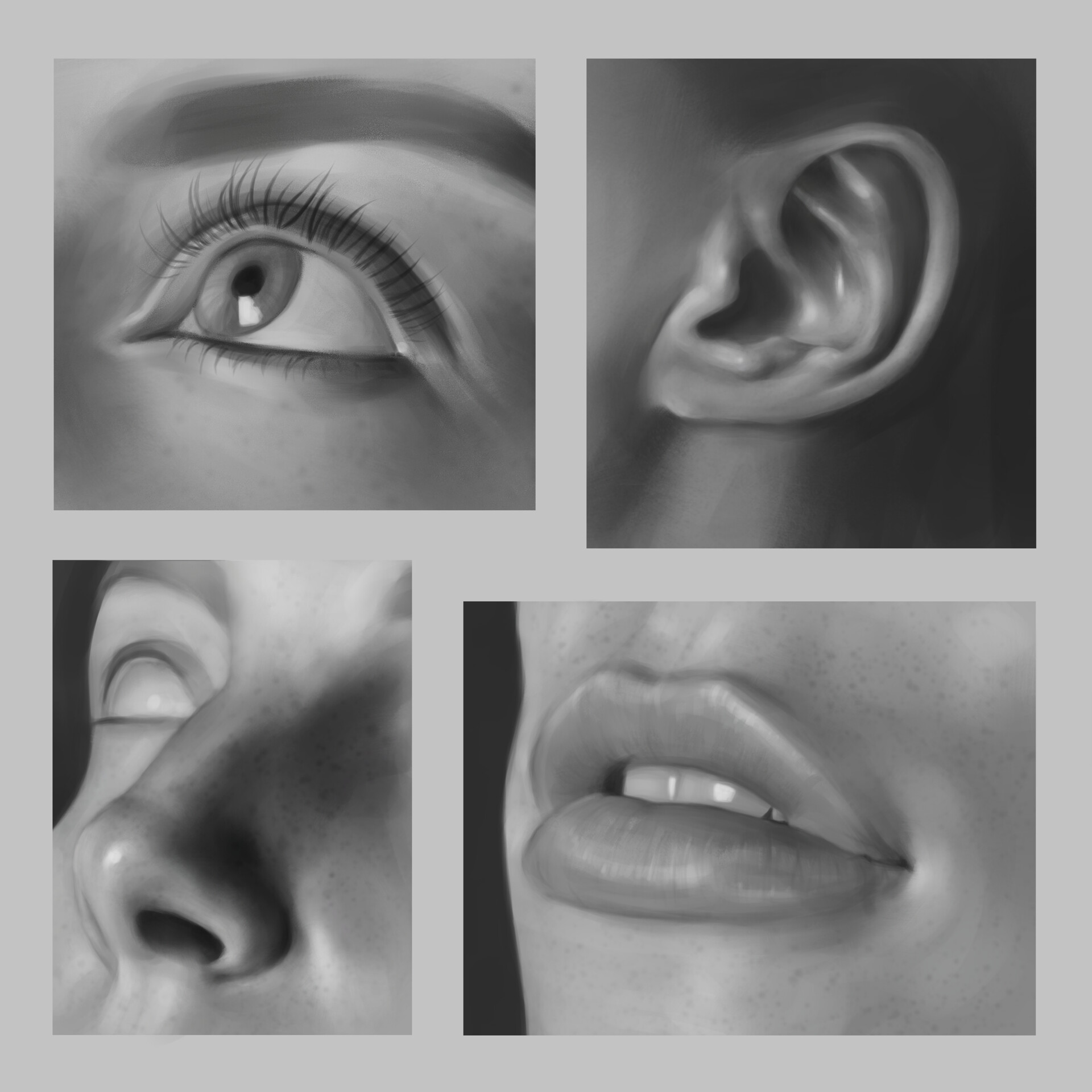 ArtStation - Facial Feature Study