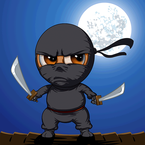 Ninja Animated