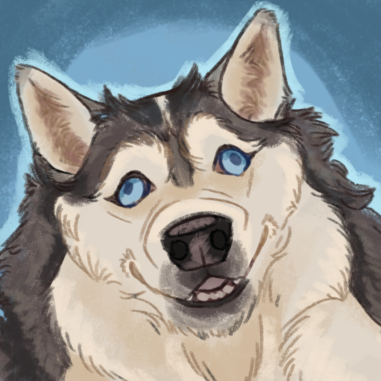 Holly Graves - Husky PFP