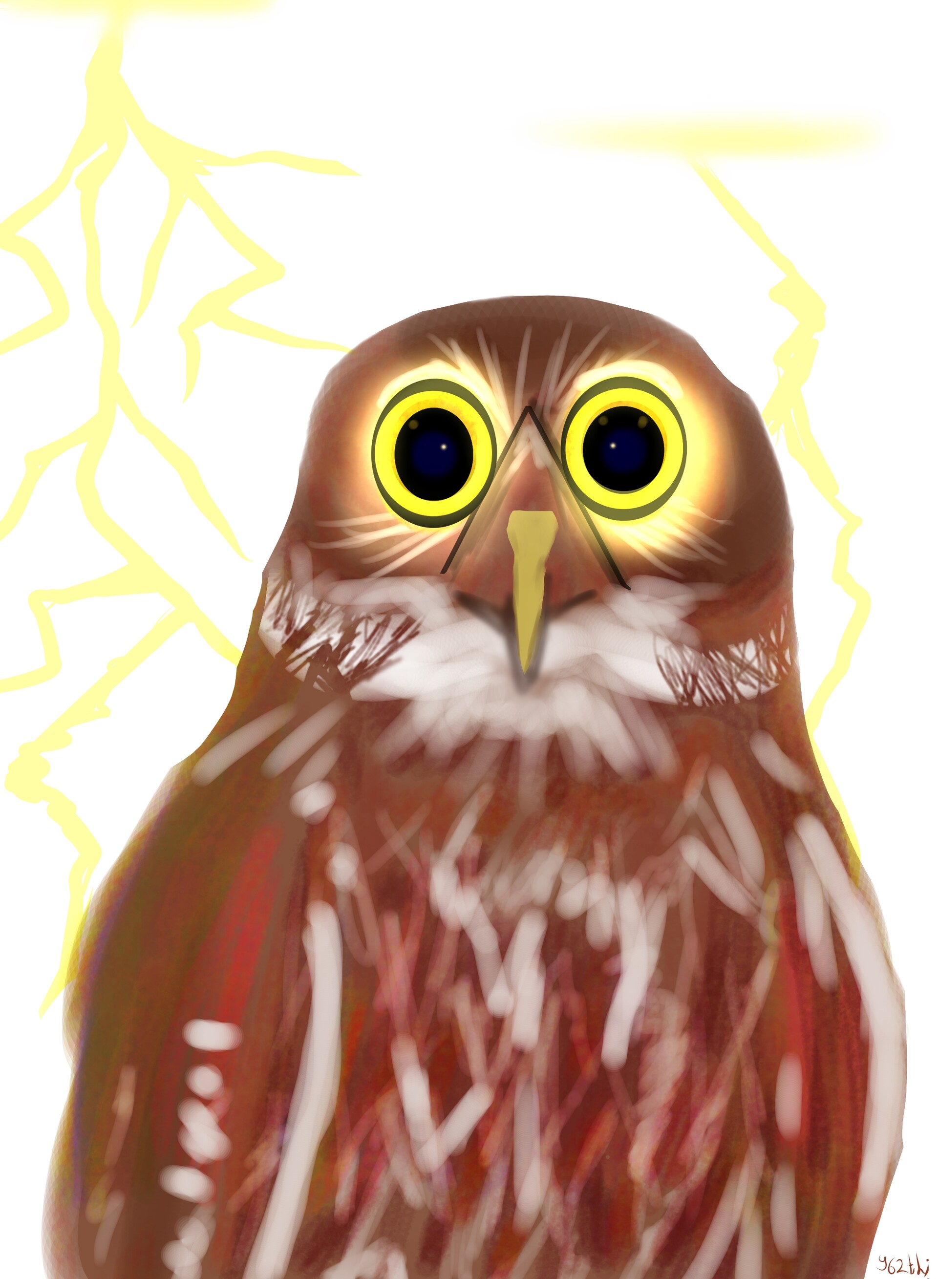 ArtStation - Owl