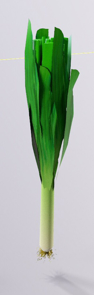 ArtStation - Leek