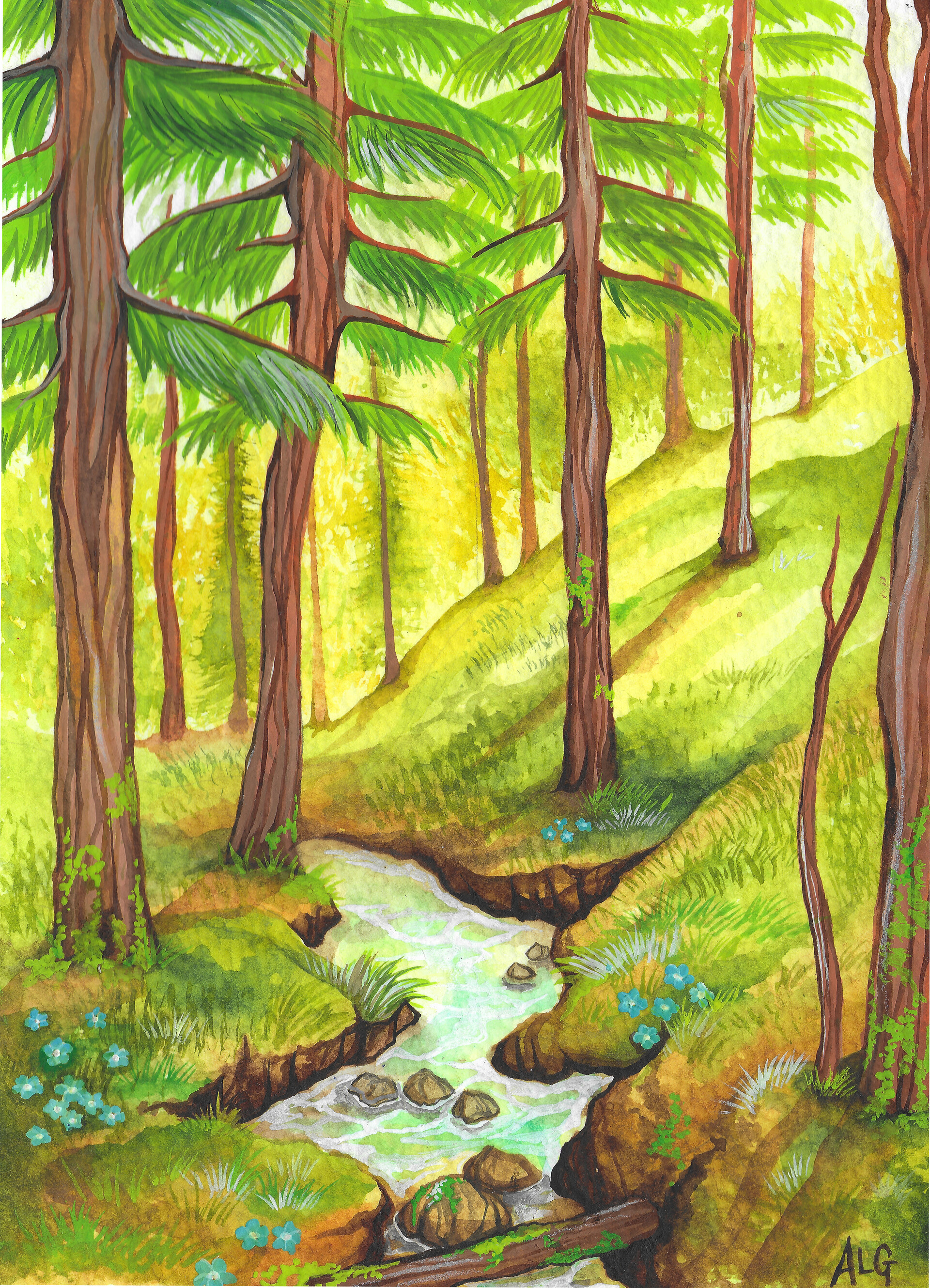 colored forest drawing