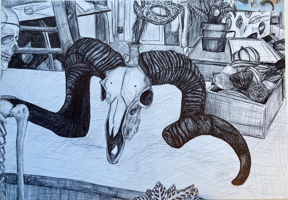 ArtStation - Observational drawing using the extended modular drawing ...