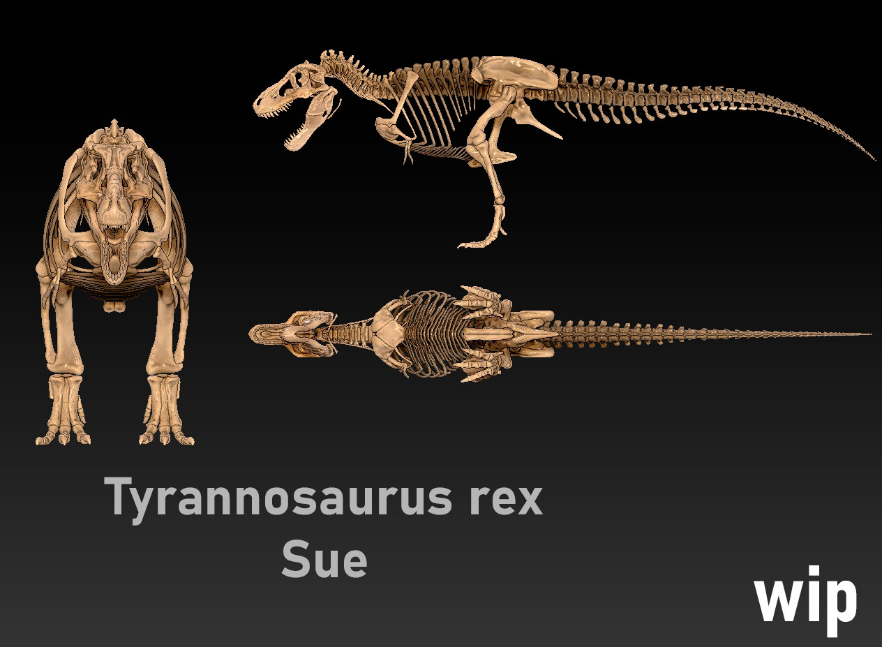ArtStation - Wip reconstruction of tyrannosaurus rex