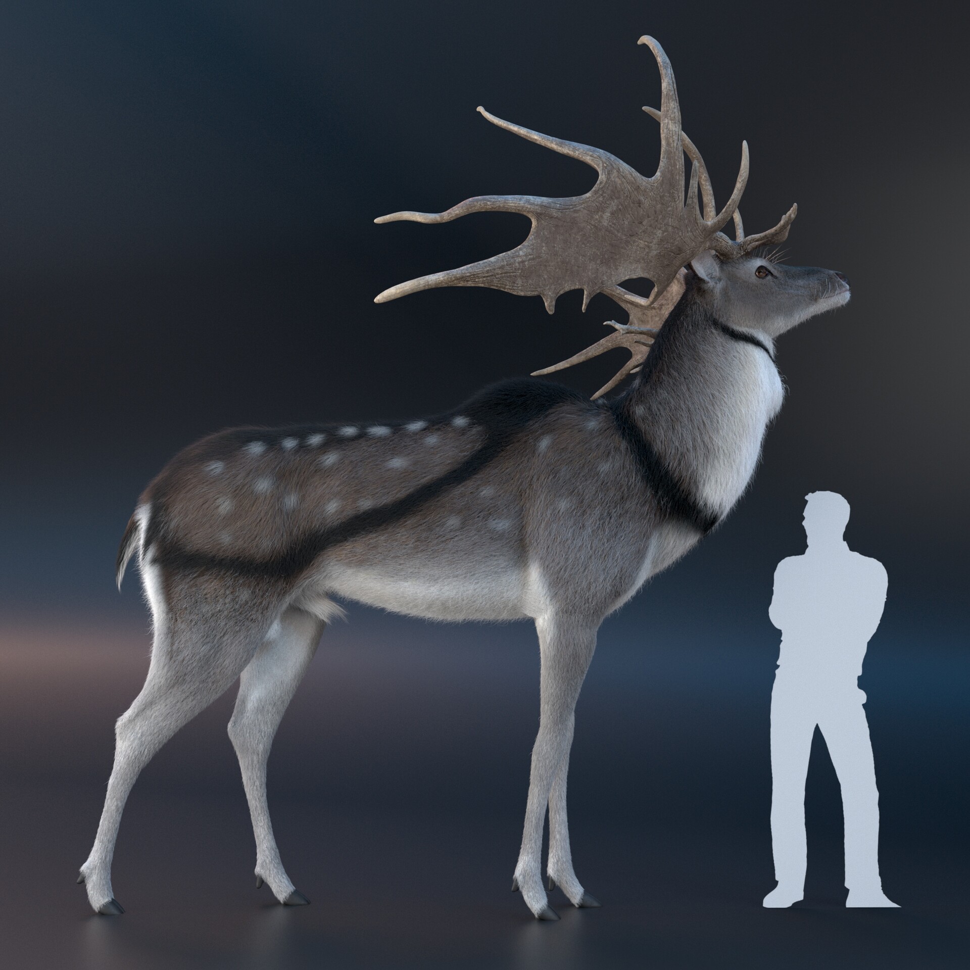 ArtStation - Megaloceros Giganteus - Giant Irish Elk