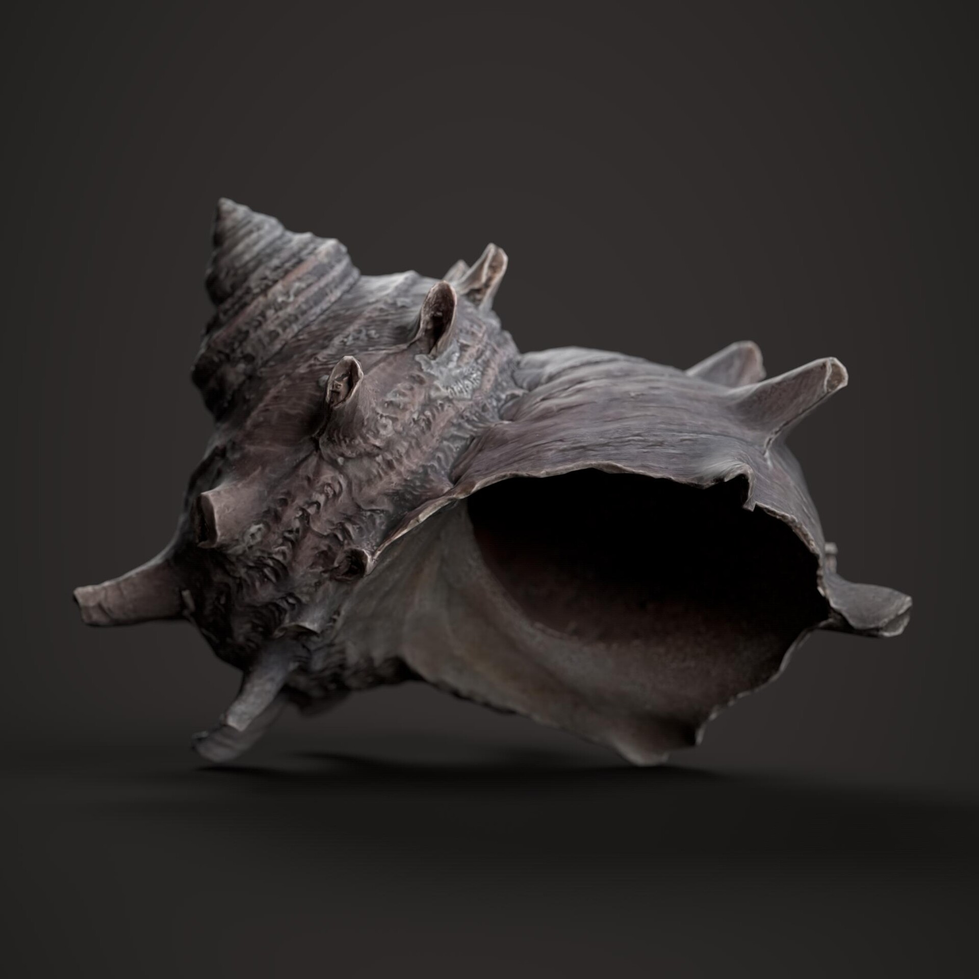 ArtStation - Shell Photogrammetry