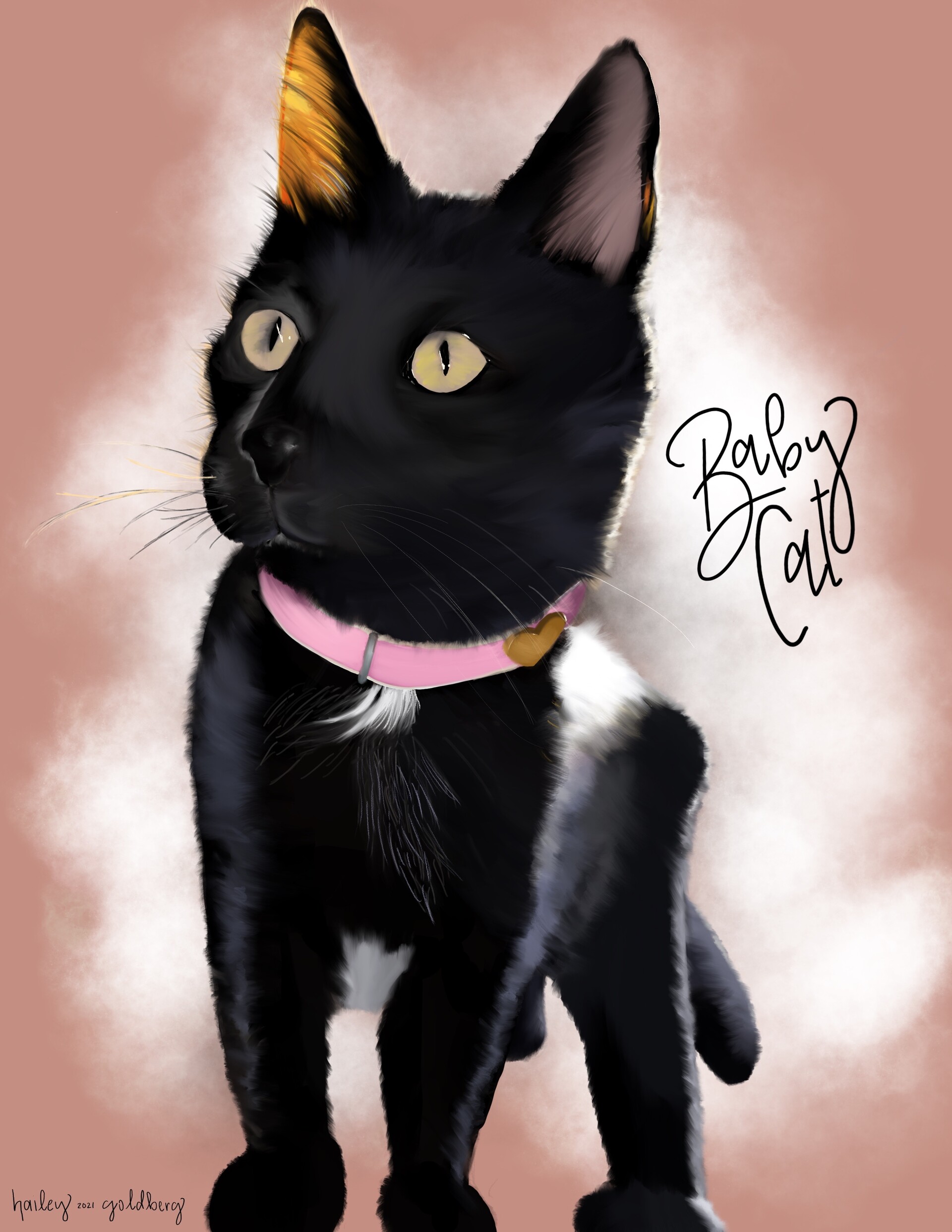 ArtStation - Baby Cat