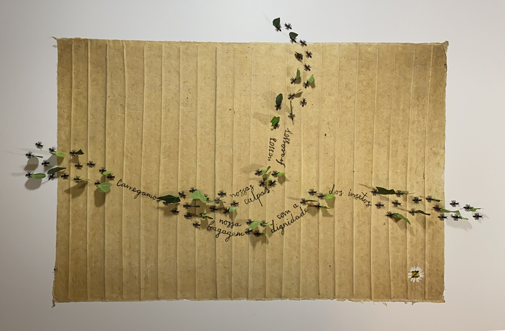 ArtStation - Formigas