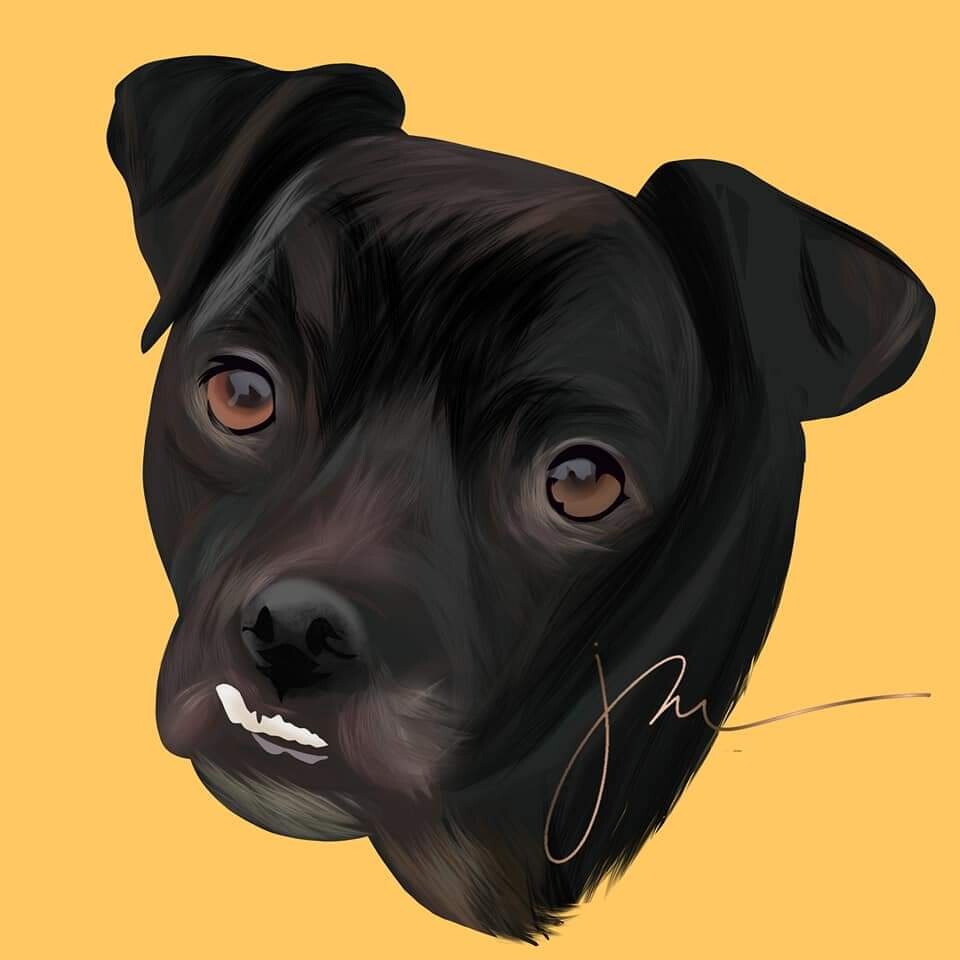 ArtStation - Pet Commission