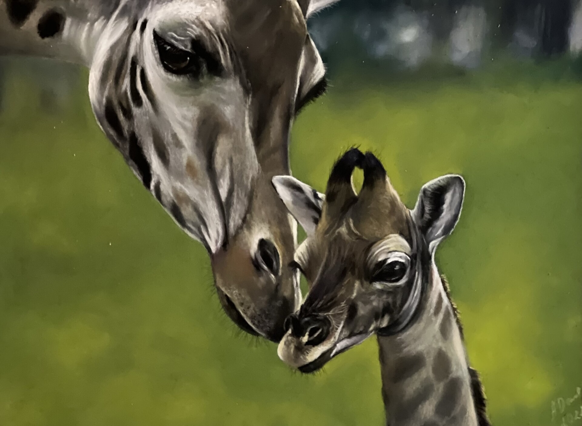 ArtStation - Giraffes