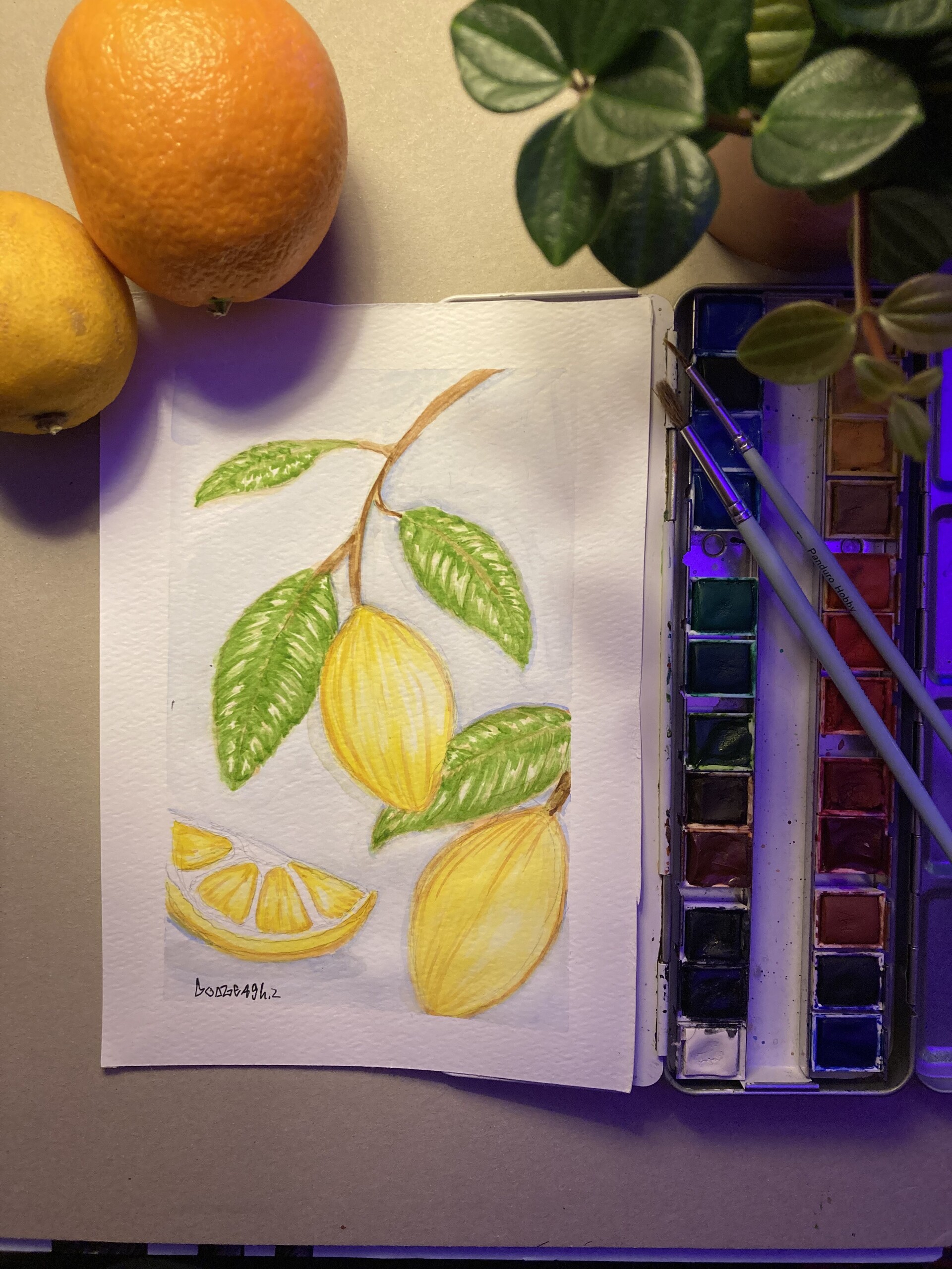 ArtStation - Lemon