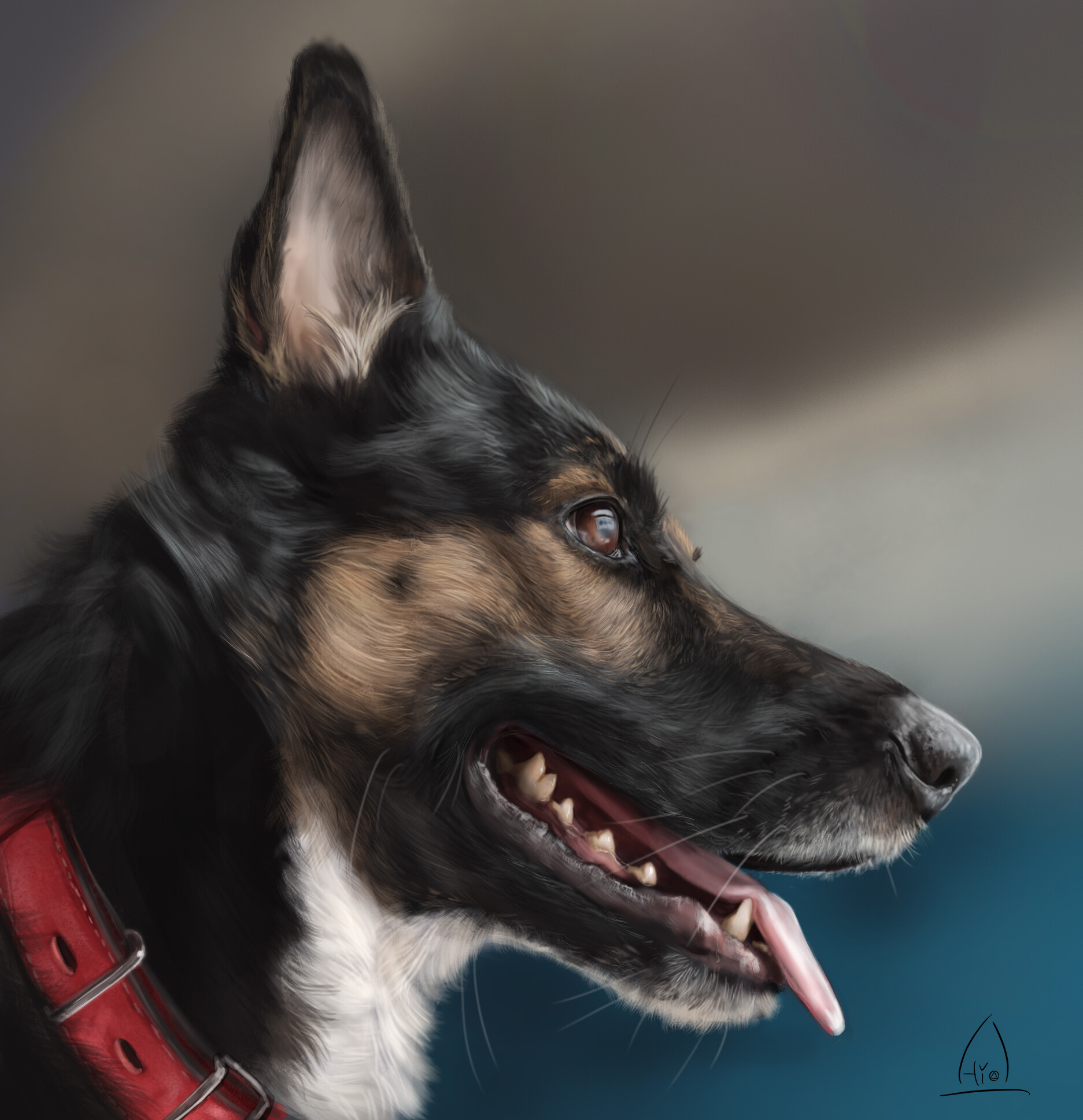 ArtStation - A drawing of my dog Study
