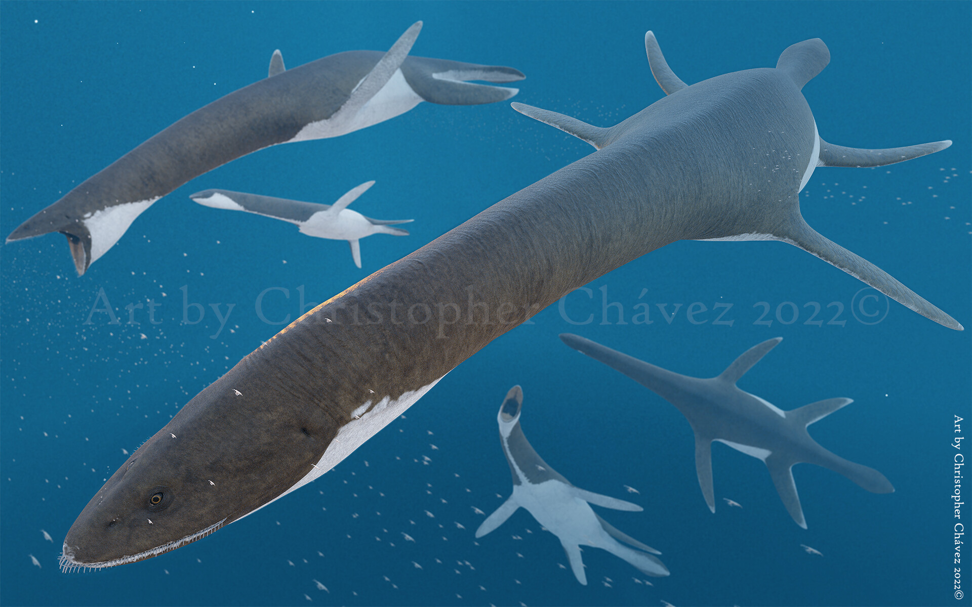 ArtStation - Exhibition Aristonectes quiriquinensis.