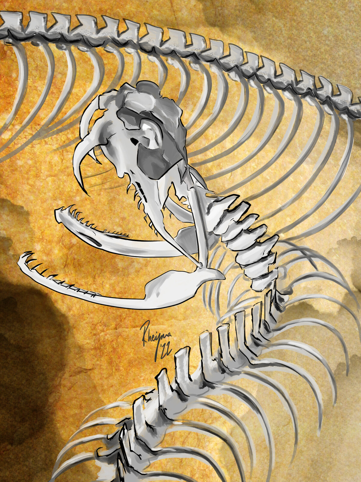 ArtStation - Gaboon Anatomy