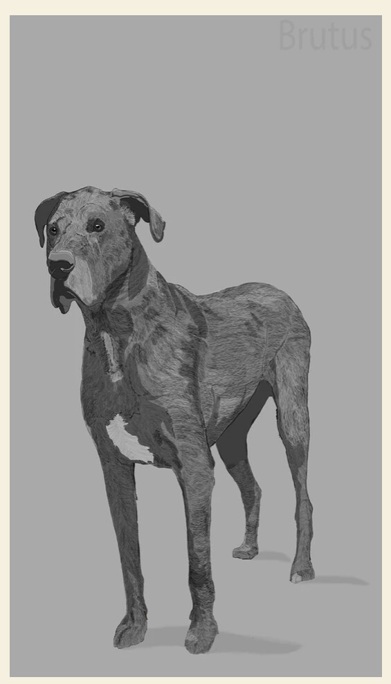 ArtStation - Brutus the Great Dane Animal Drawing