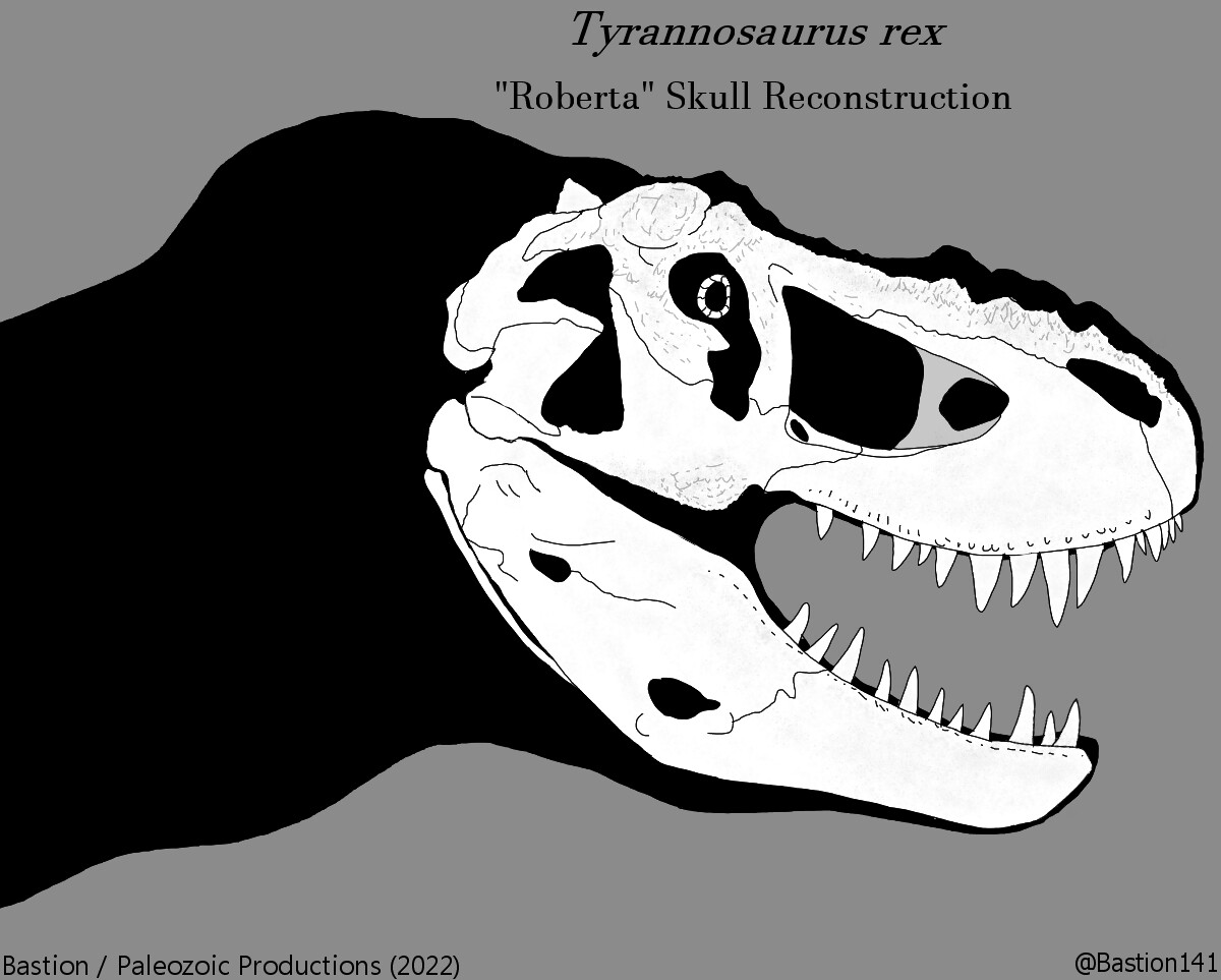 ArtStation - Jurassic Park Tyrannosaurus "Roberta" Skull Diagrams