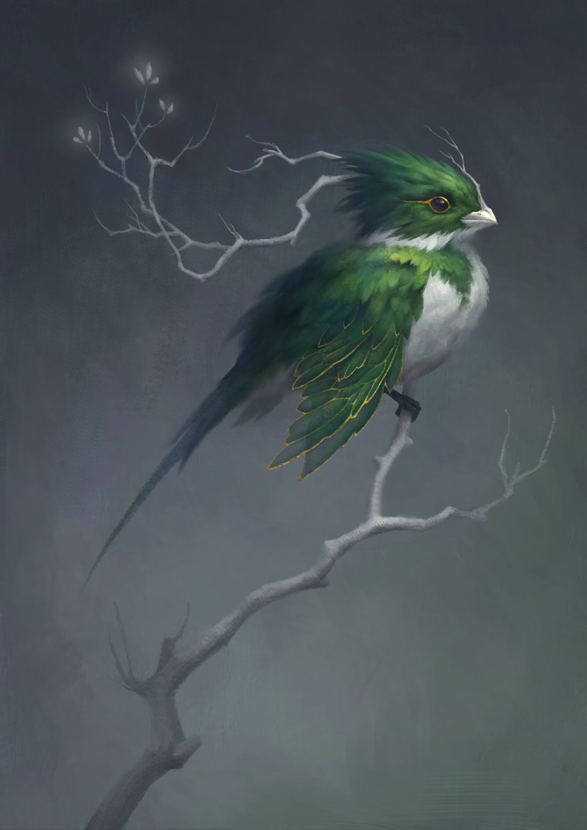 ArtStation - Green Bird