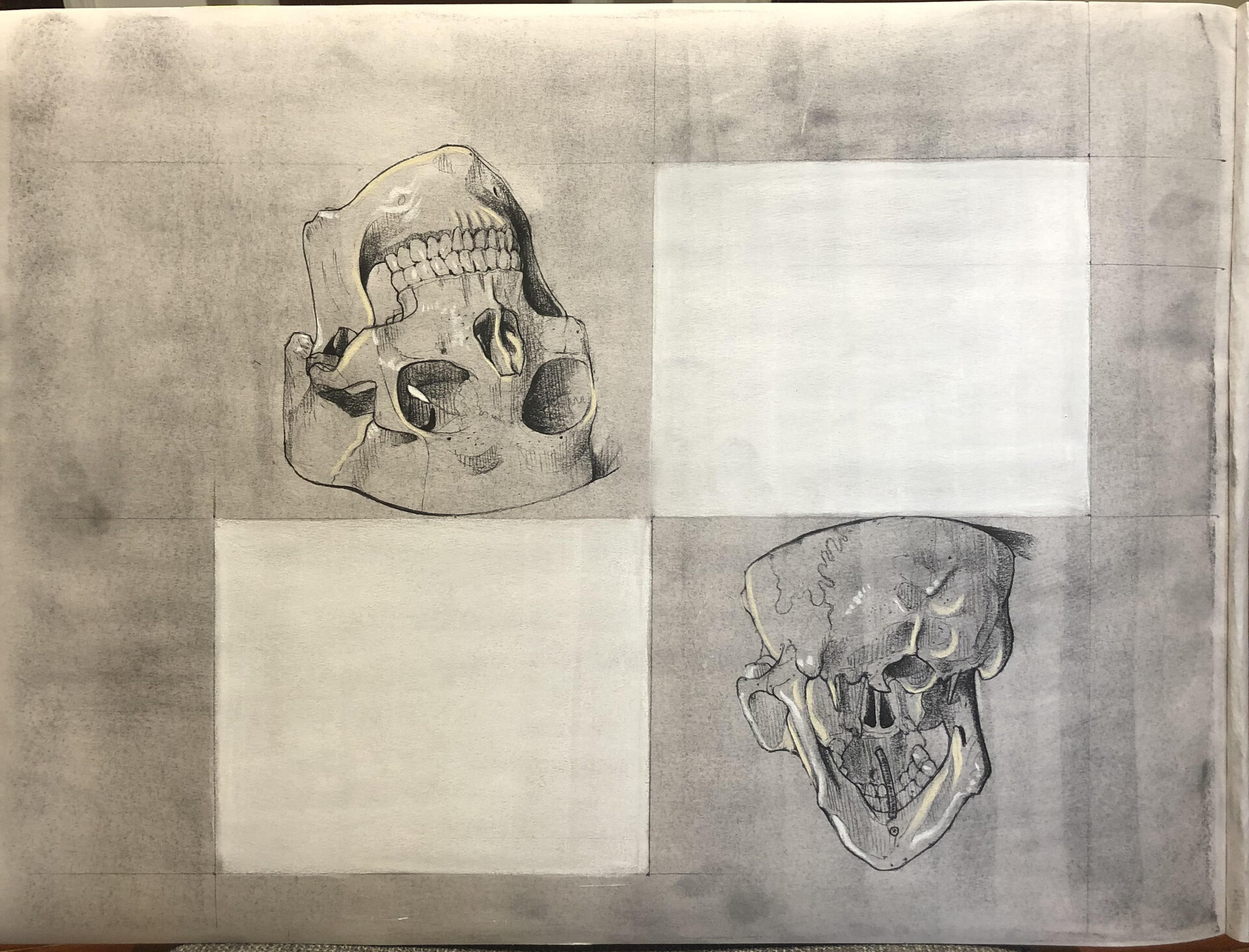 ArtStation - Skull Studies