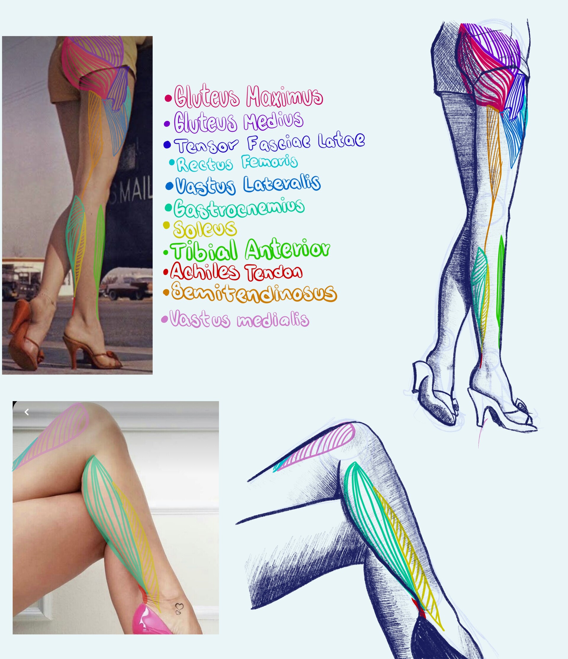 ArtStation - Legs Muscular References