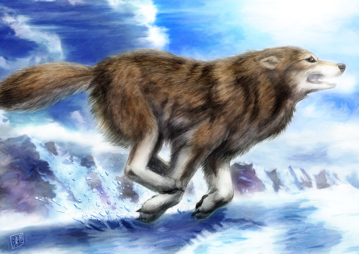 ArtStation - Running Wolf
